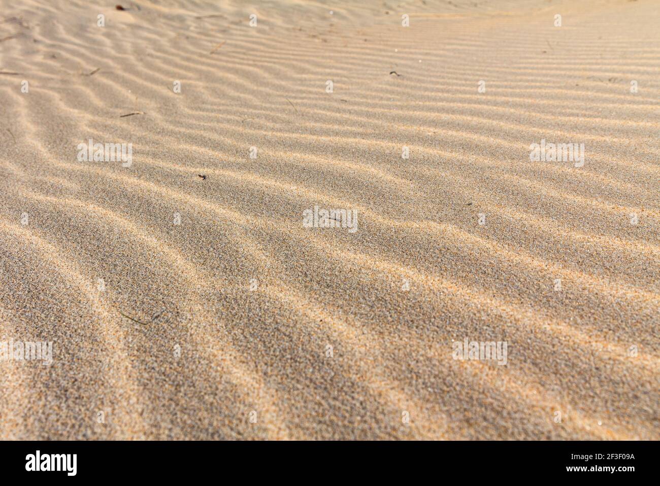 beautiful golden sand ripple at the beach. sand dune. patterns on ...