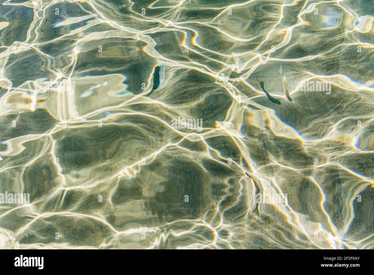 Glimmering sun hi-res stock photography and images - Alamy