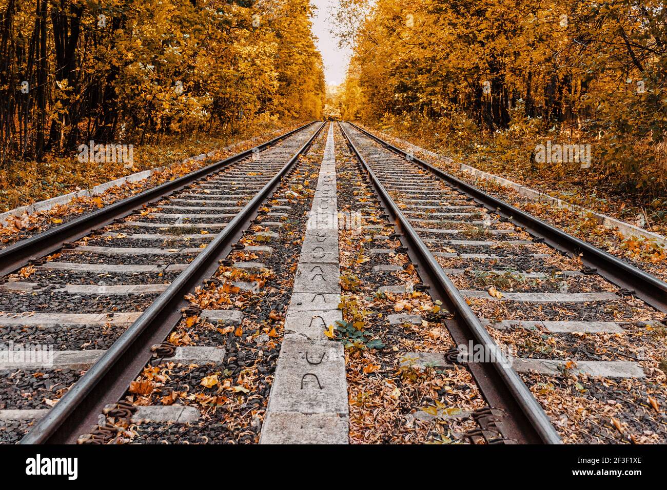 Close-up of Railway, rails and sleepers extending into the distance ...