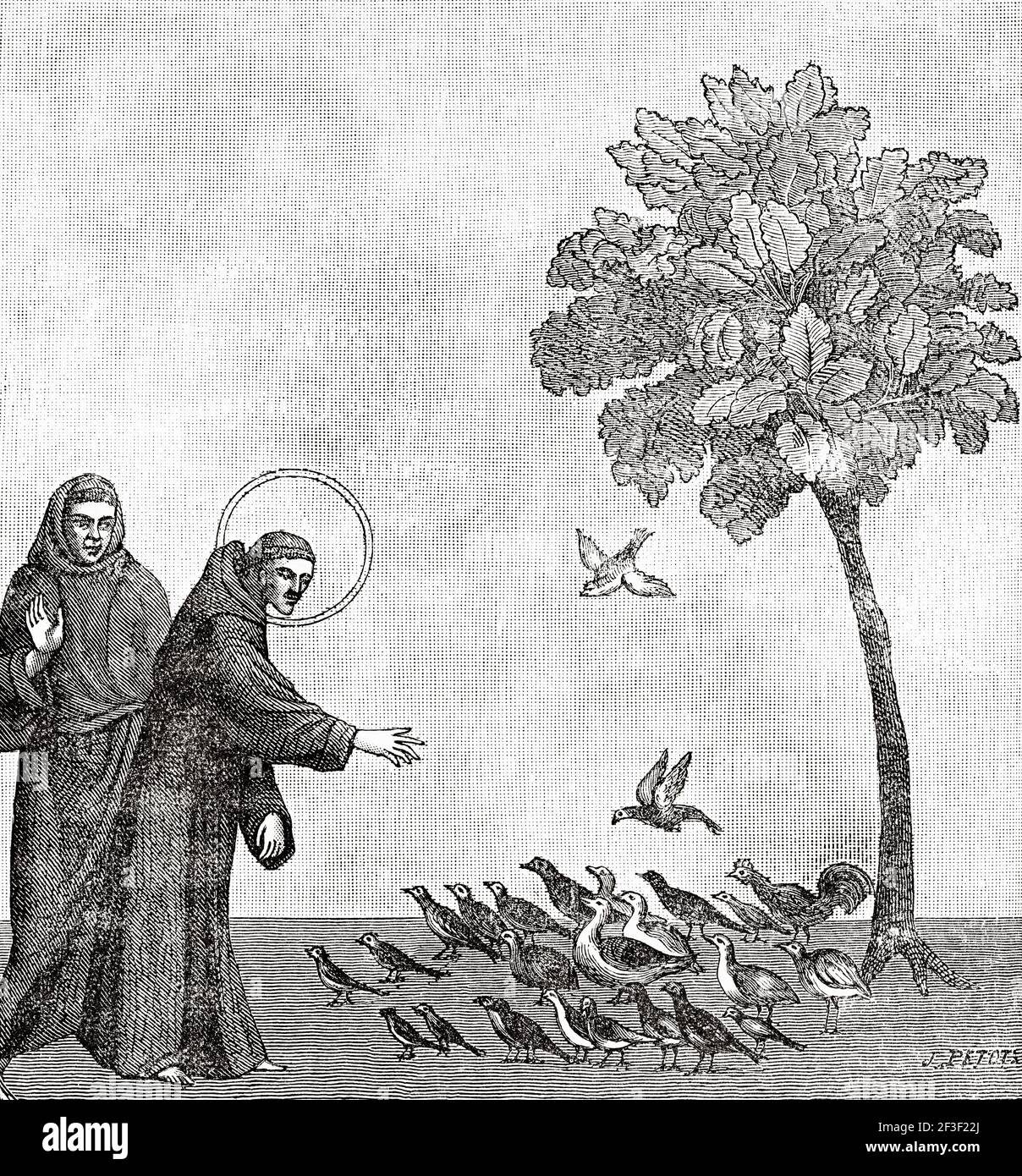 San francisco black bird book hi-res stock photography and images - Alamy