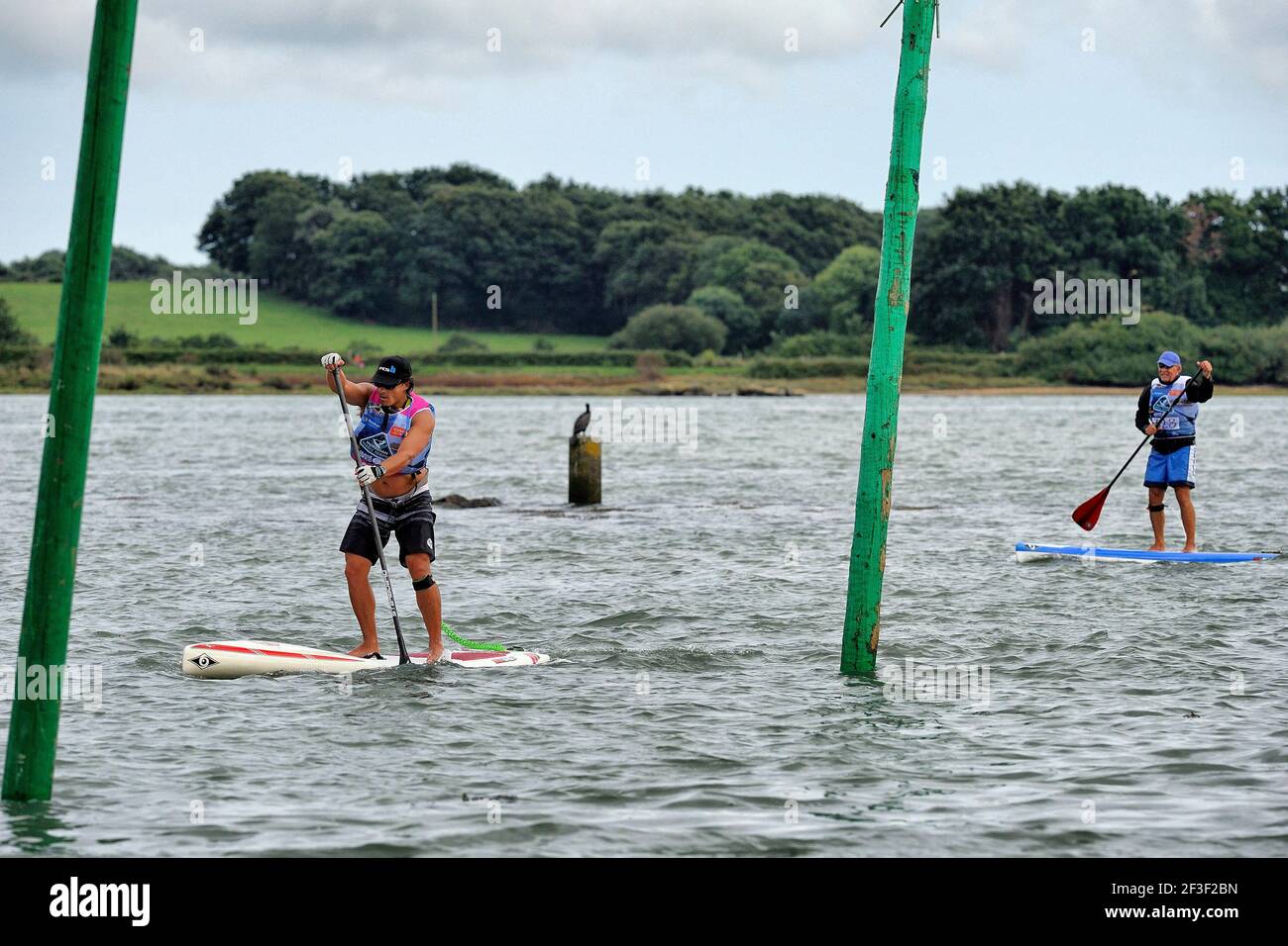Illustration of the Morbihan Paddle Trophy held in Vannes, West France ...