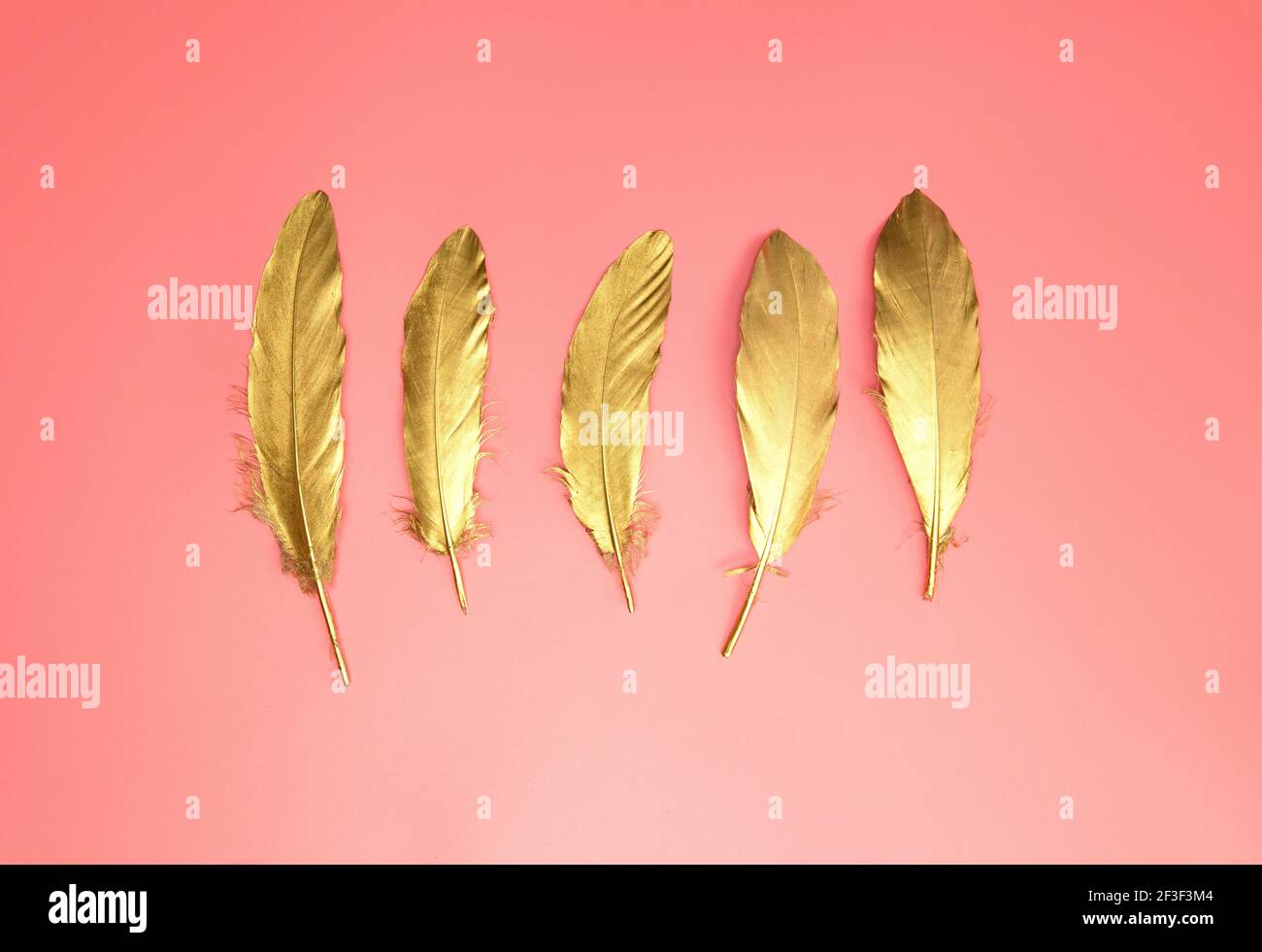 Gold shiny feathers in a row on pastel pink background, Flat lay, retro ...