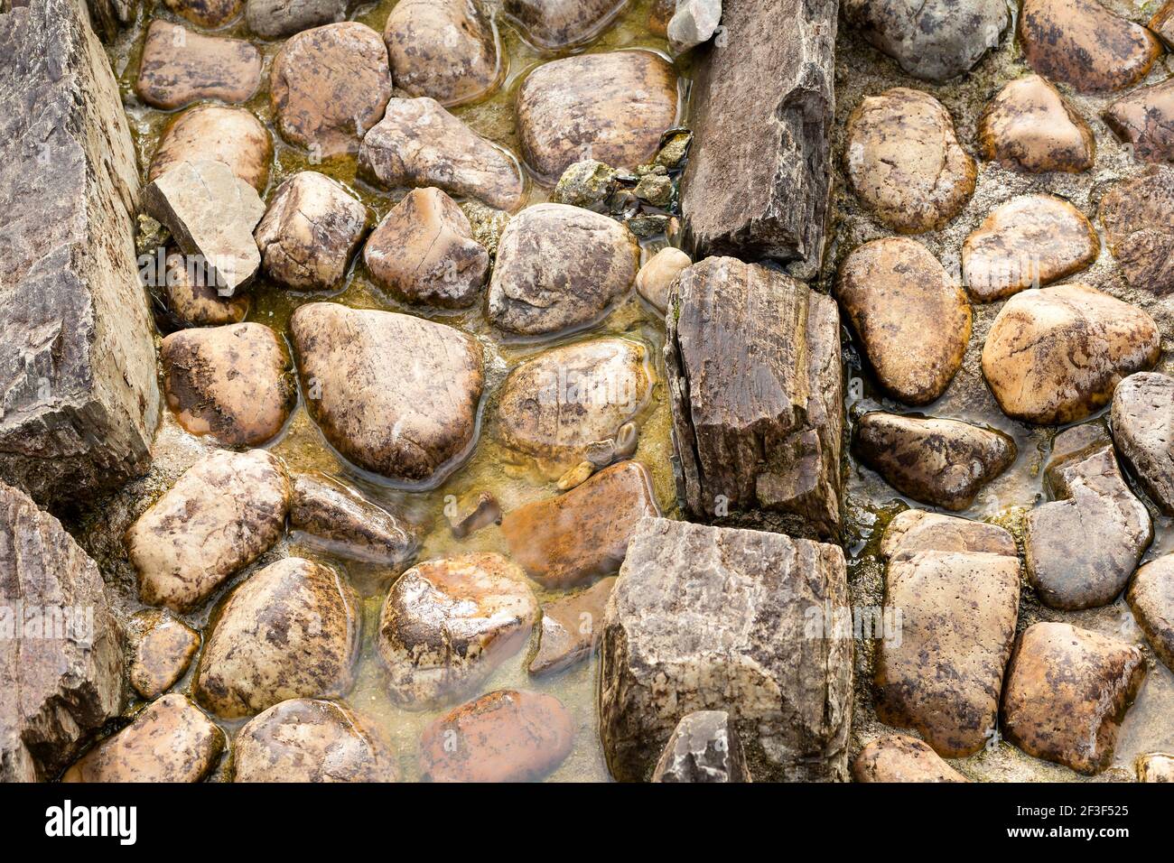 Medieval background pattern hi-res stock photography and images - Alamy