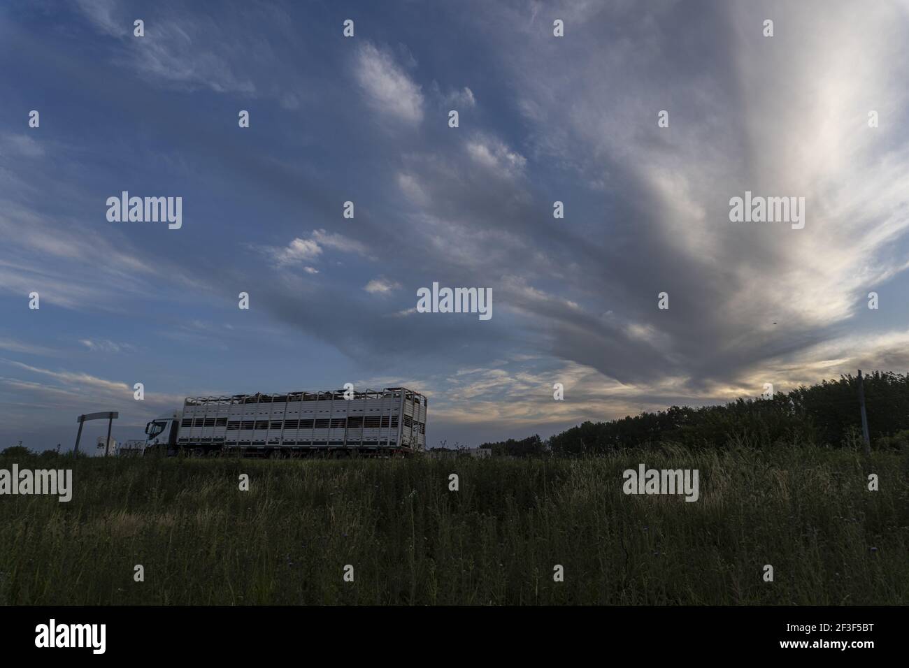 An animal truck in a green field Stock Photo - Alamy