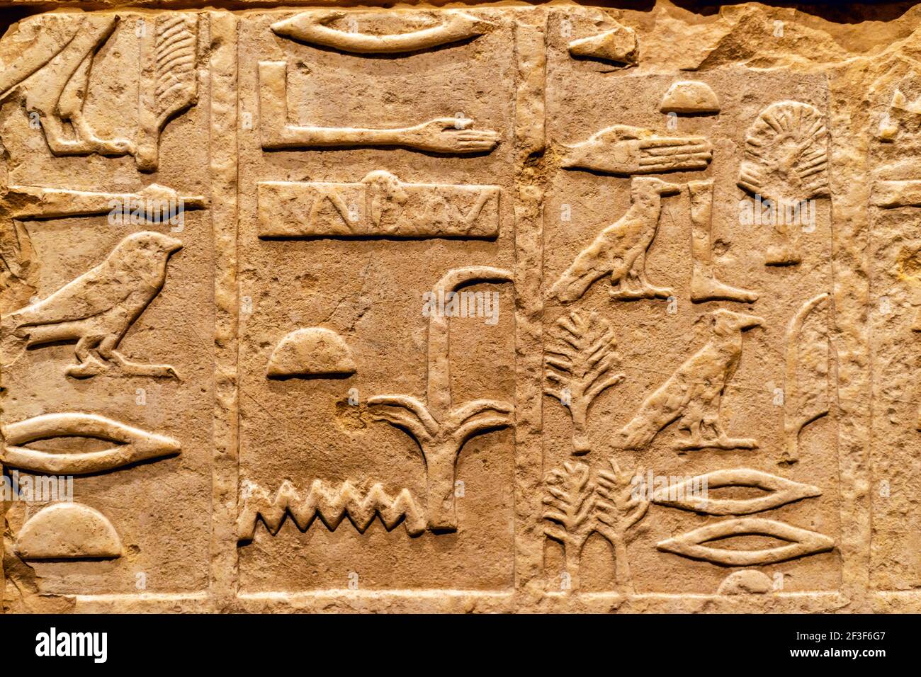 detailed background of Ancient Egypt symbols carved on sandstone wall ...
