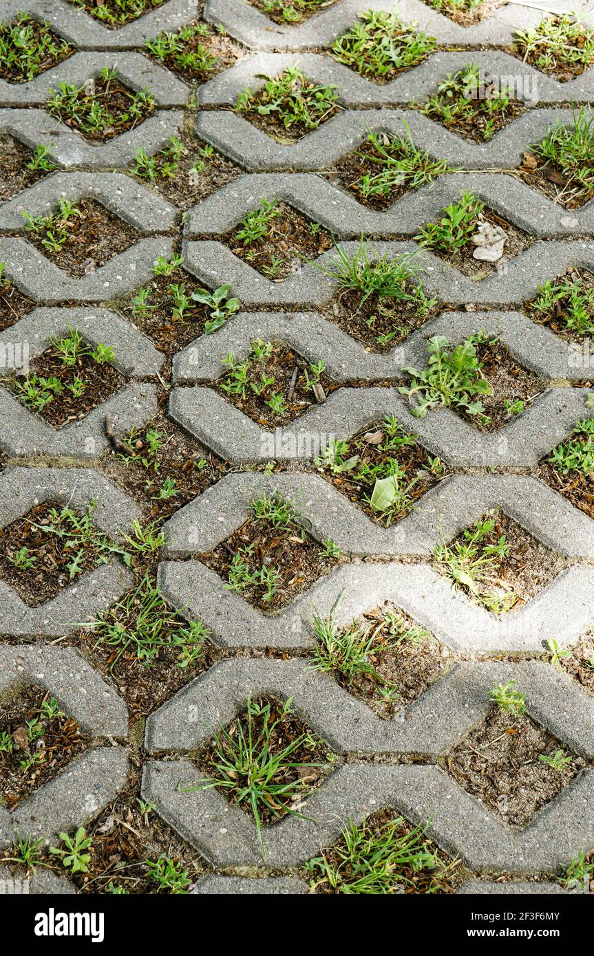 A vertical shot of pavements with green grass growing between the ...