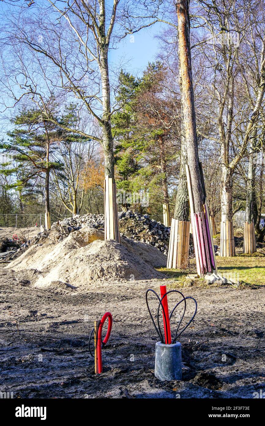 Tree trunks on a construction site covered with wooden boards to ...