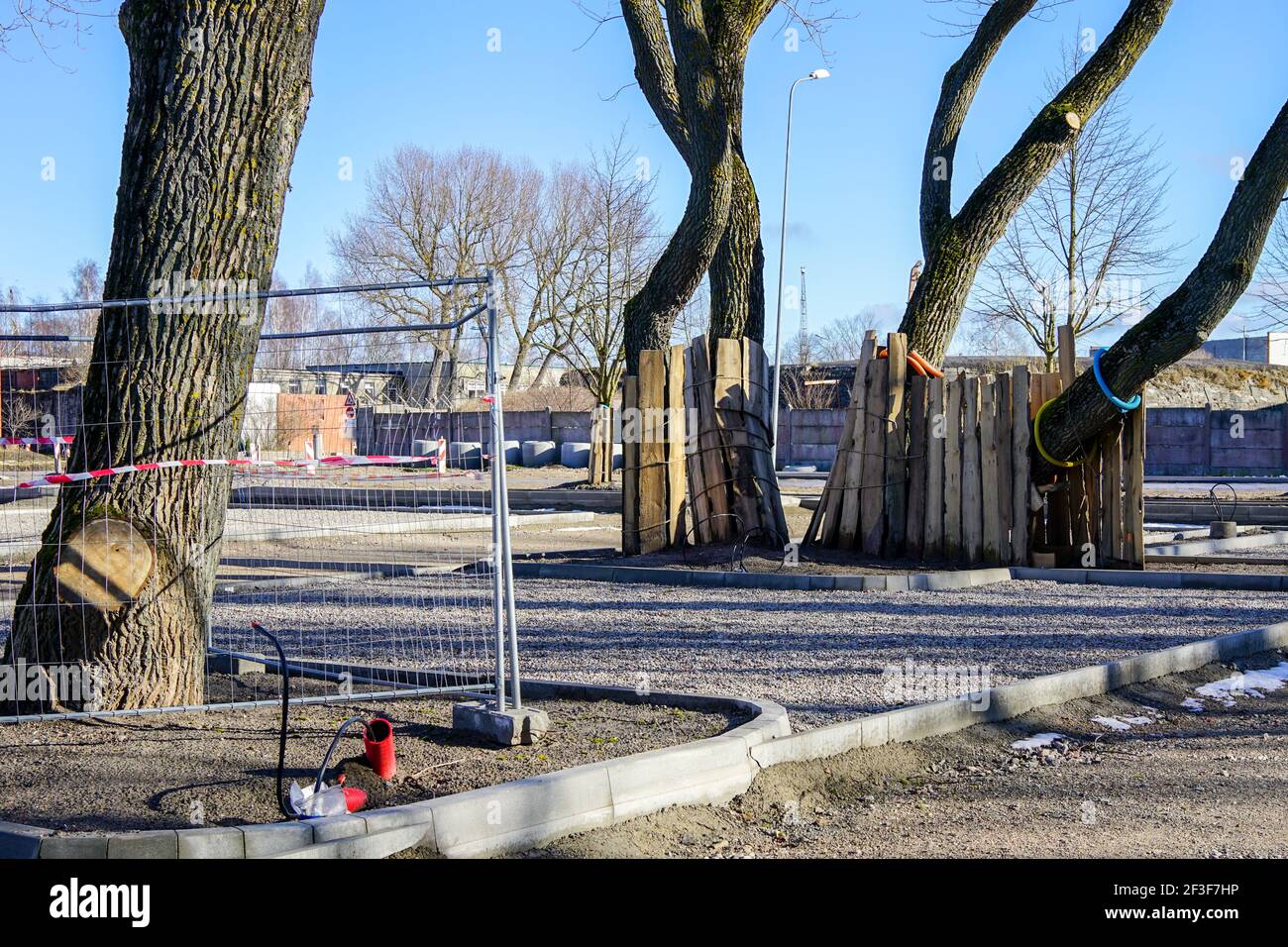 Tree trunks on a construction site covered with wooden boards to ...