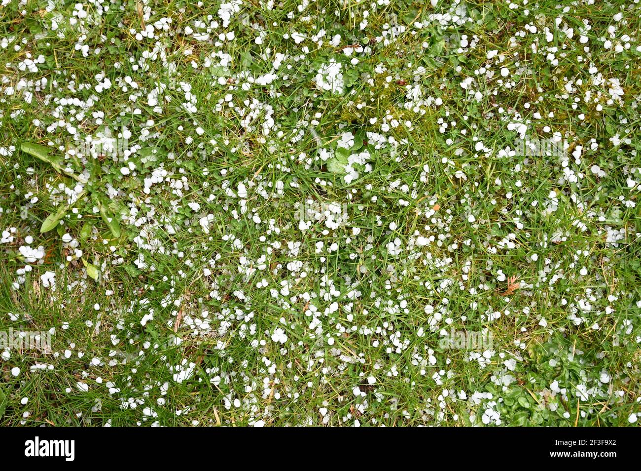 Dangerous hailstones hi-res stock photography and images - Alamy