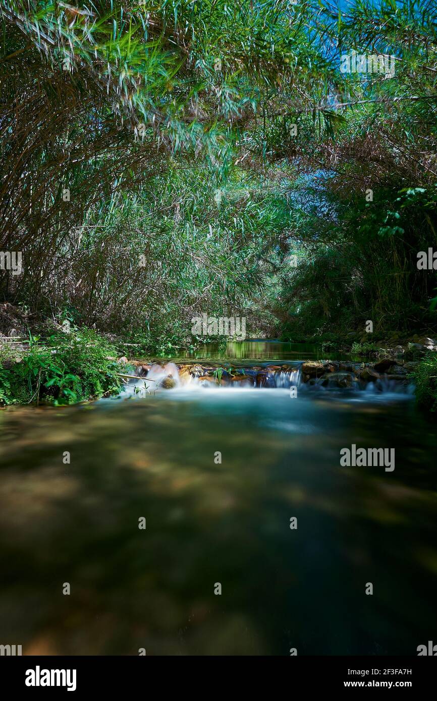 Small waterfall on the river, long exposure, silk effect, reeds, sunny ...