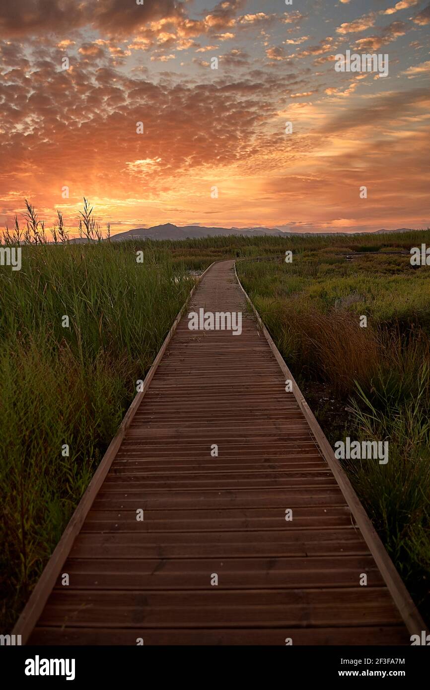Wooden path over the water.marshland, sunset with clouds, solitary ...