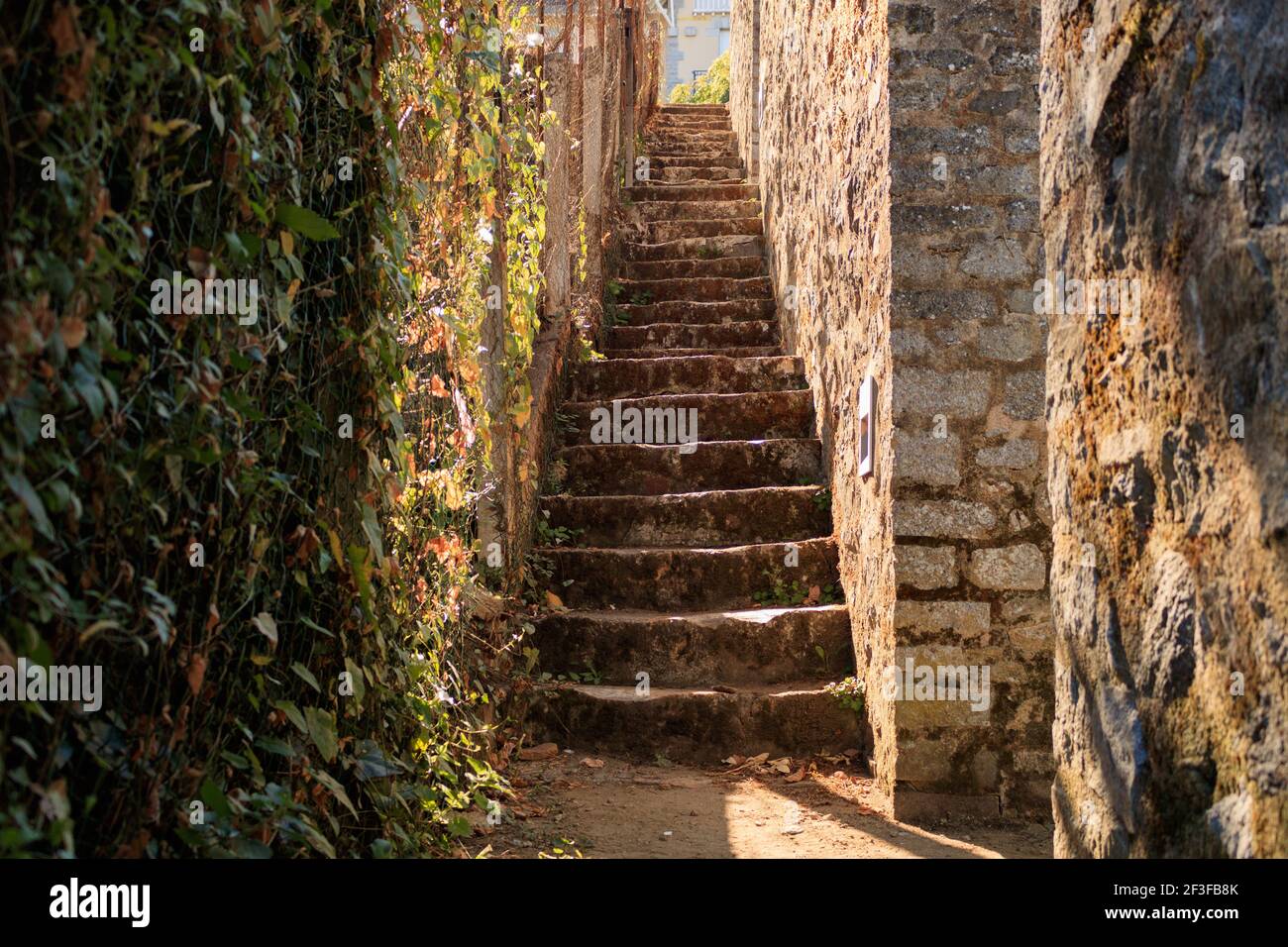 A narrow path with stone stairs on a daytime Stock Photo - Alamy