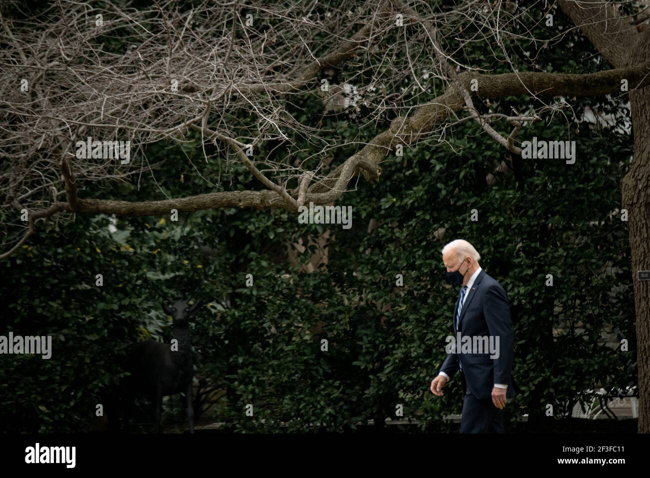 Fanning out hi-res stock photography and images - Alamy