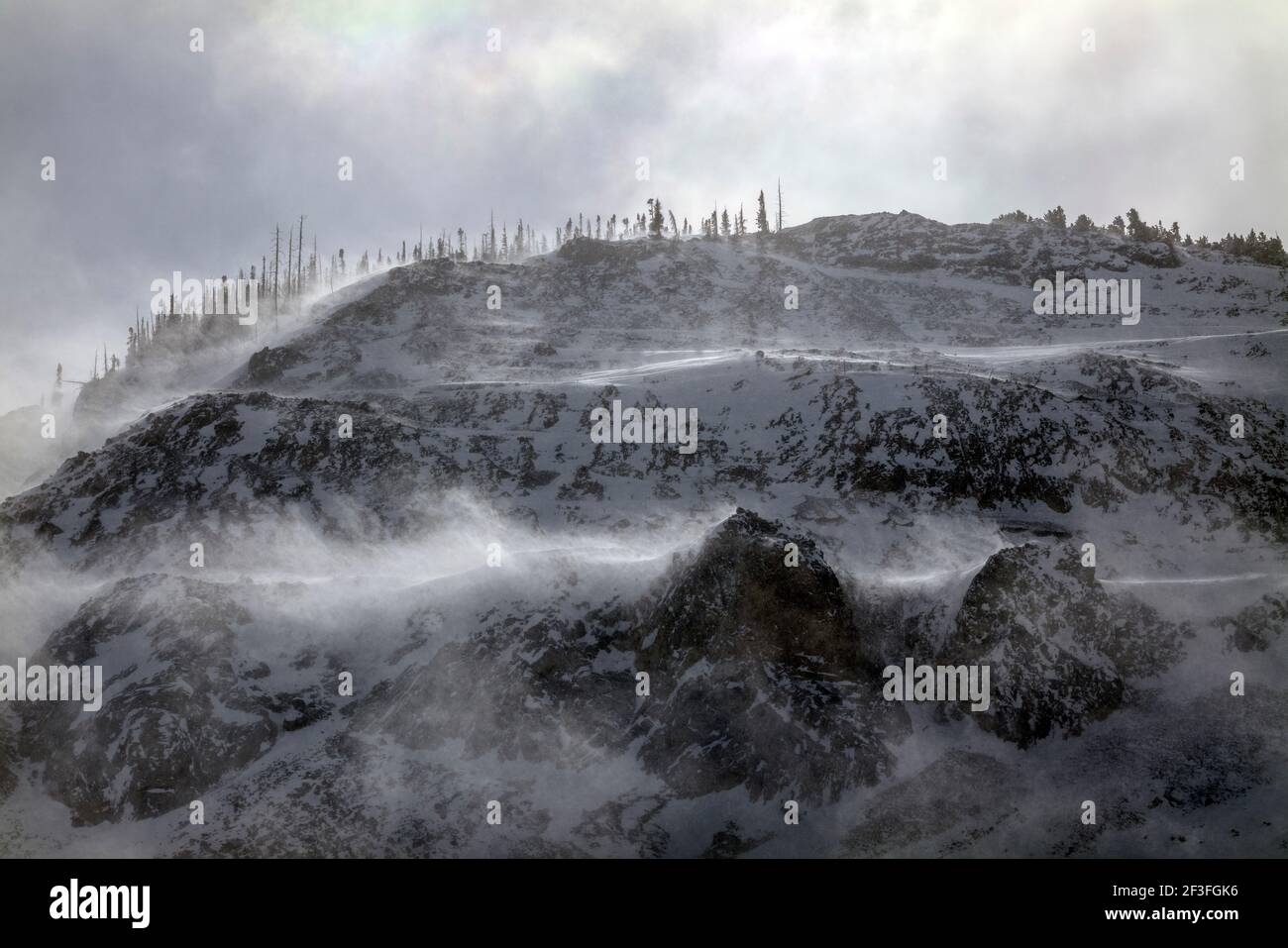 Blown snow hi-res stock photography and images - Alamy