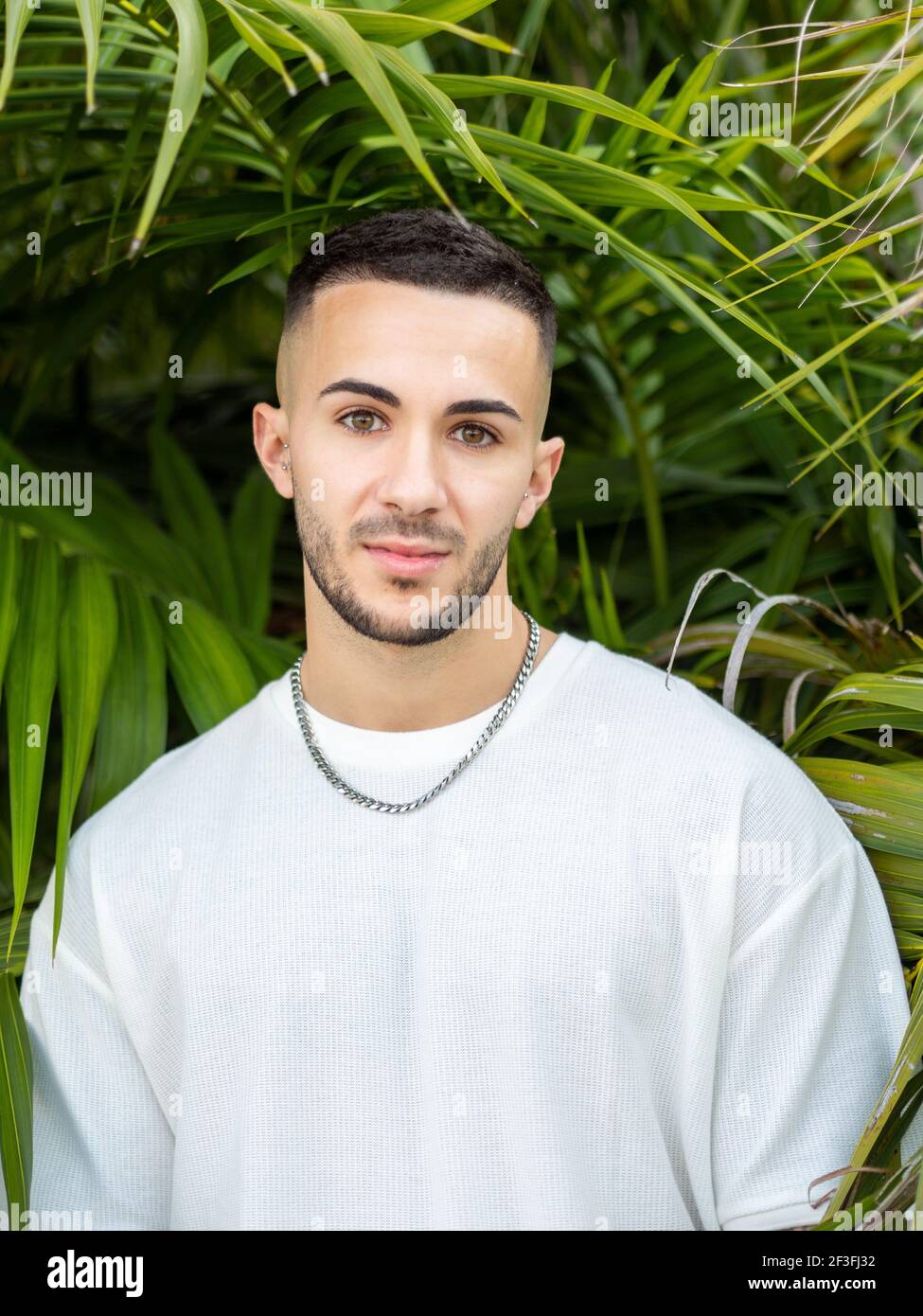 Chain of leaves hi-res stock photography and images - Alamy