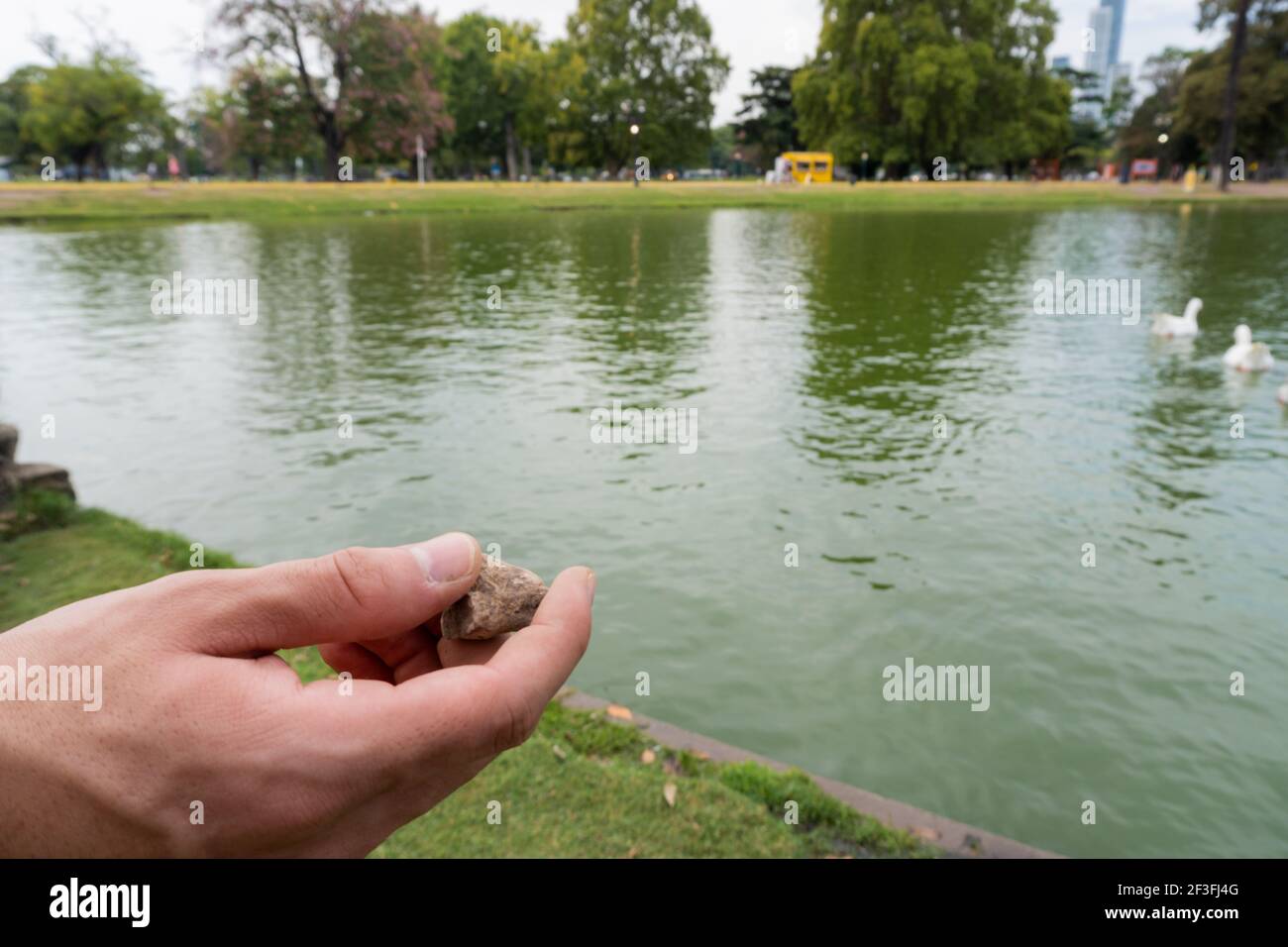 Skipping stone hi-res stock photography and images - Alamy