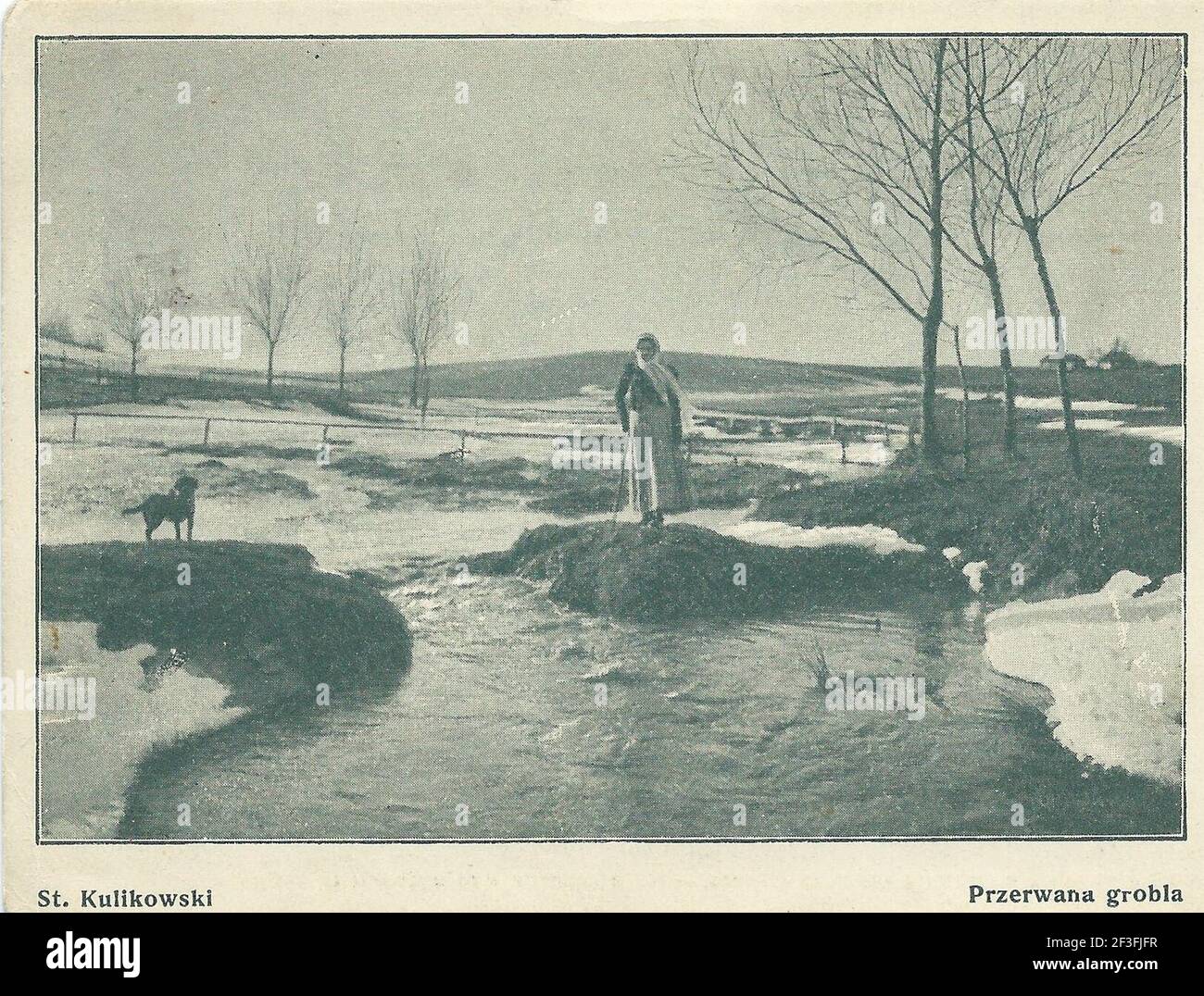 Kulikowski hi-res stock photography and images - Alamy