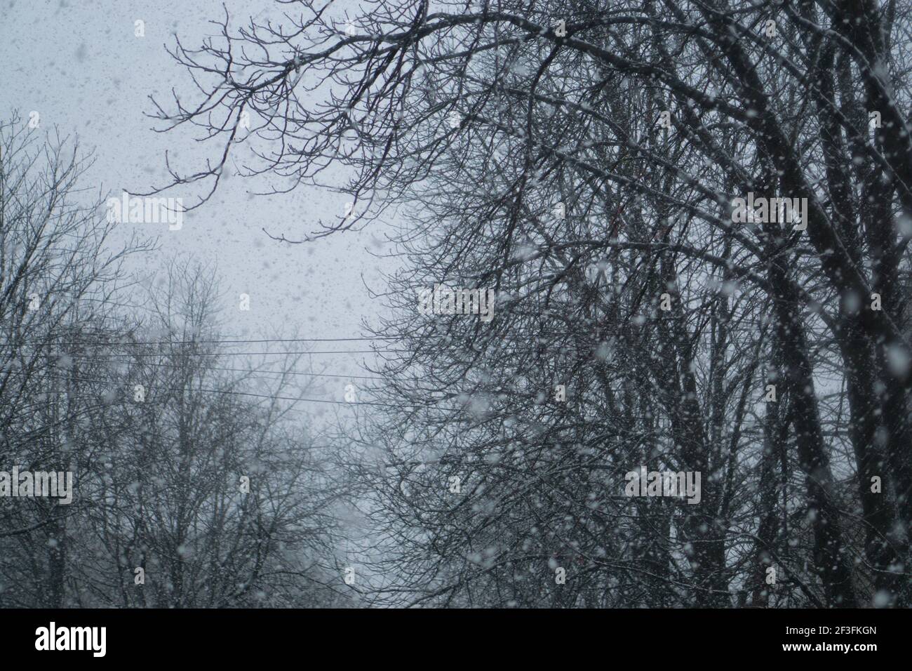 Christmas winter landscape blizzard snowfall hi-res stock photography ...
