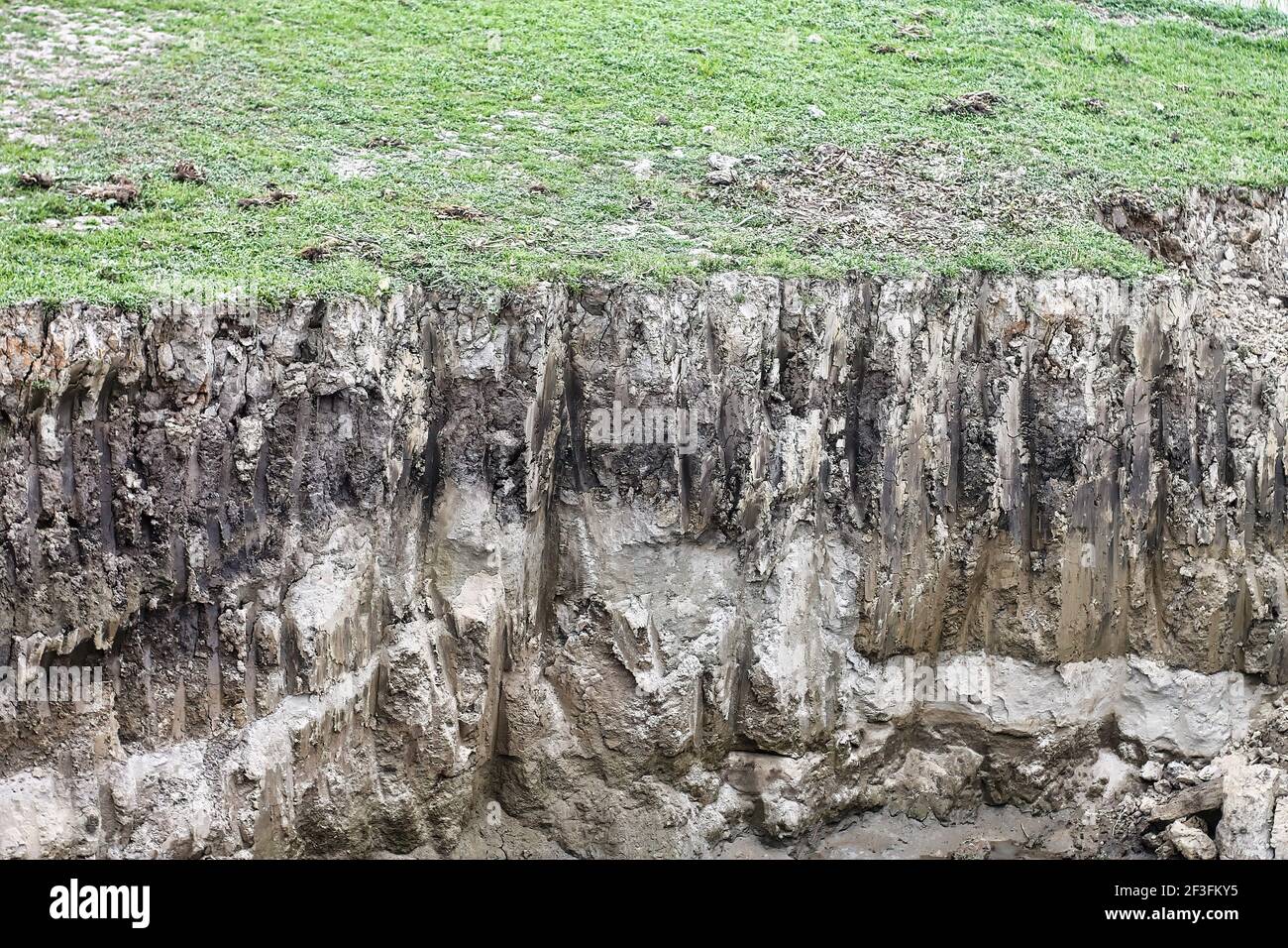 The soil cut from fertile green land with rough geological rock layers ...