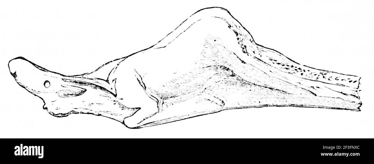 Poniard hi-res stock photography and images - Alamy