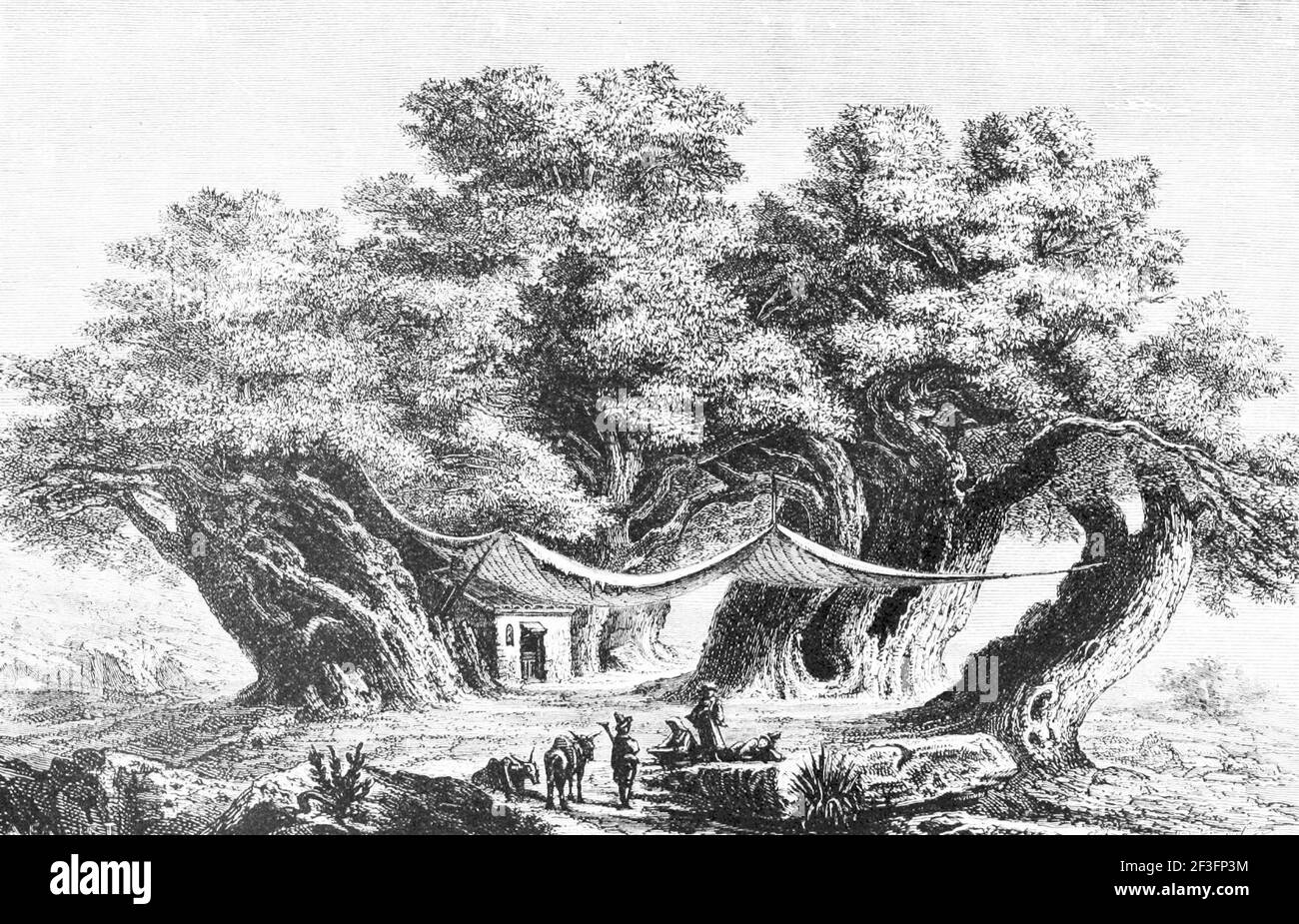 Mount aetna hi-res stock photography and images - Alamy