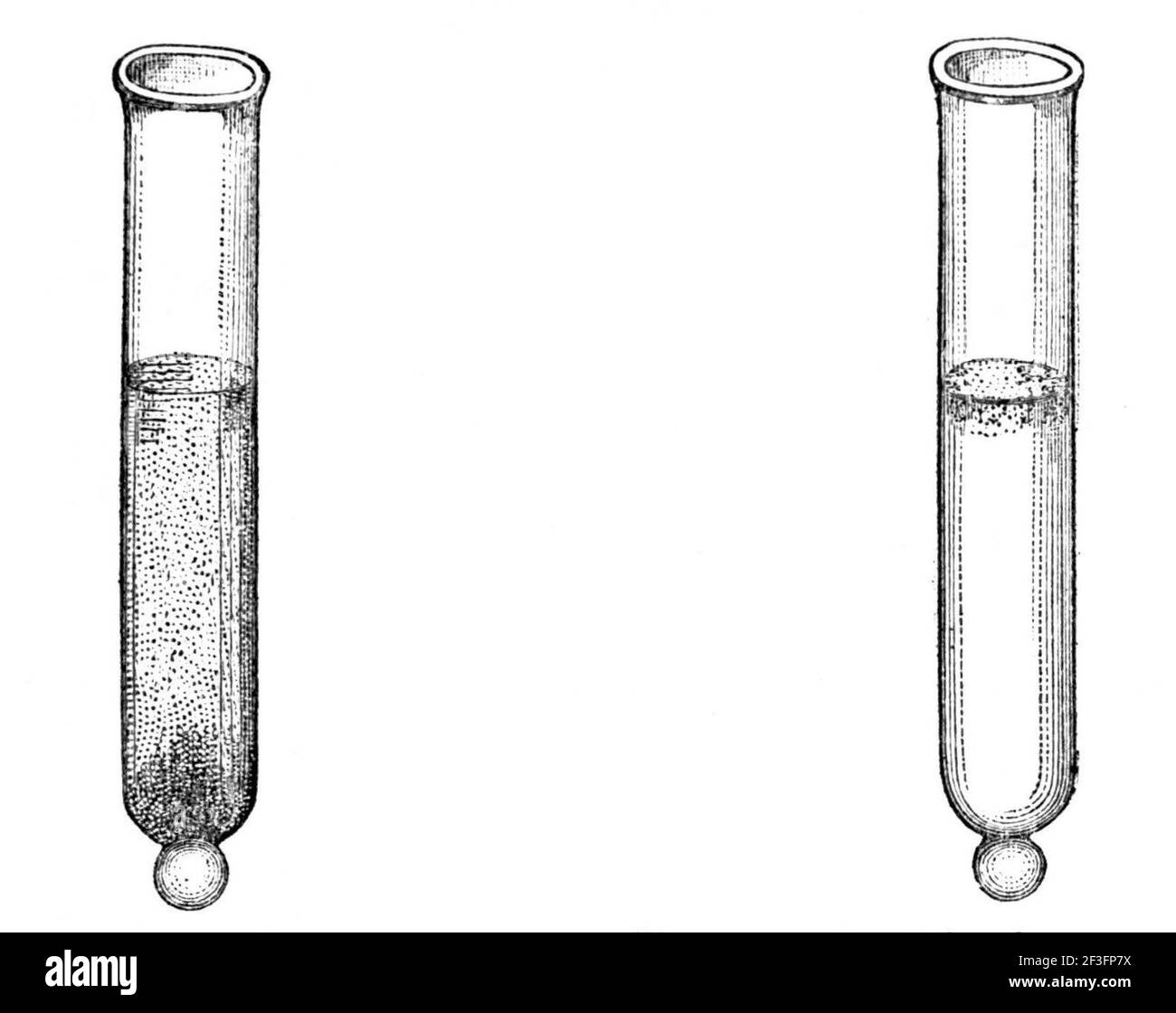 Red water and infusoria Stock Photo - Alamy