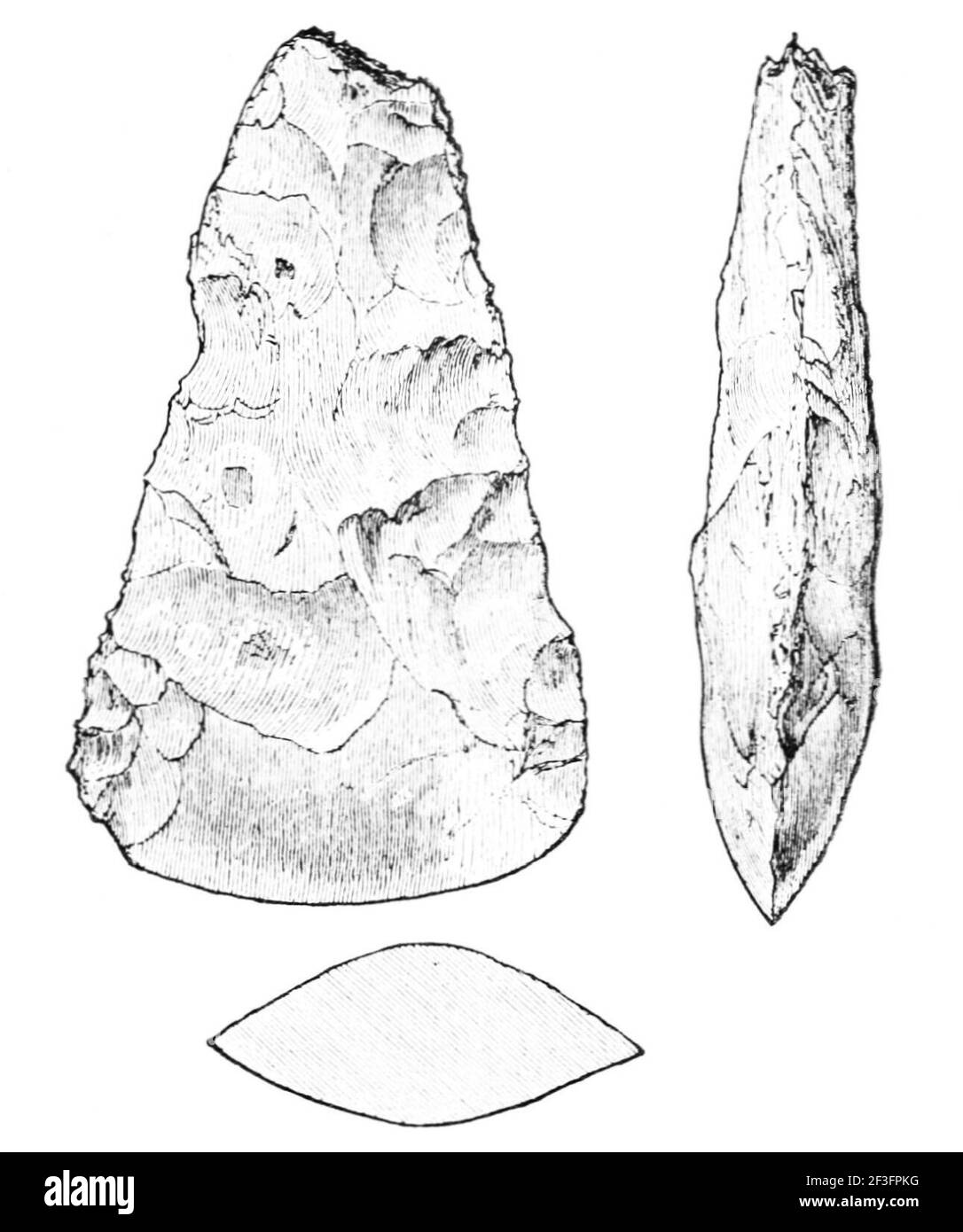 Use stone tools Cut Out Stock Images & Pictures - Alamy