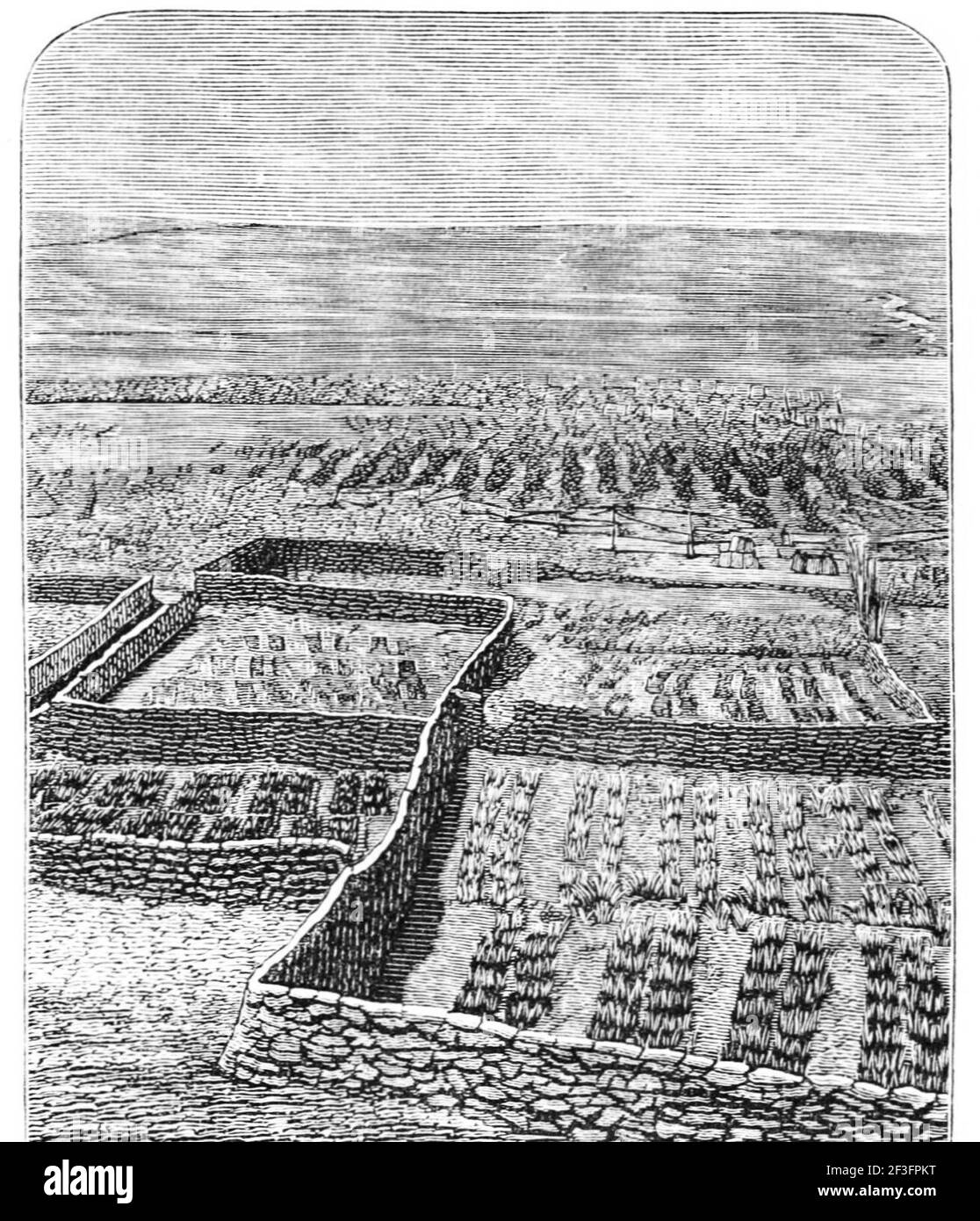 Zuni vegetable gardens Stock Photo - Alamy