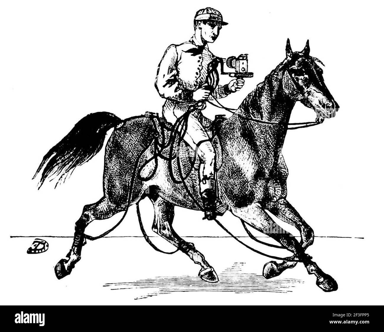 Instruments registering equine movement Stock Photo - Alamy