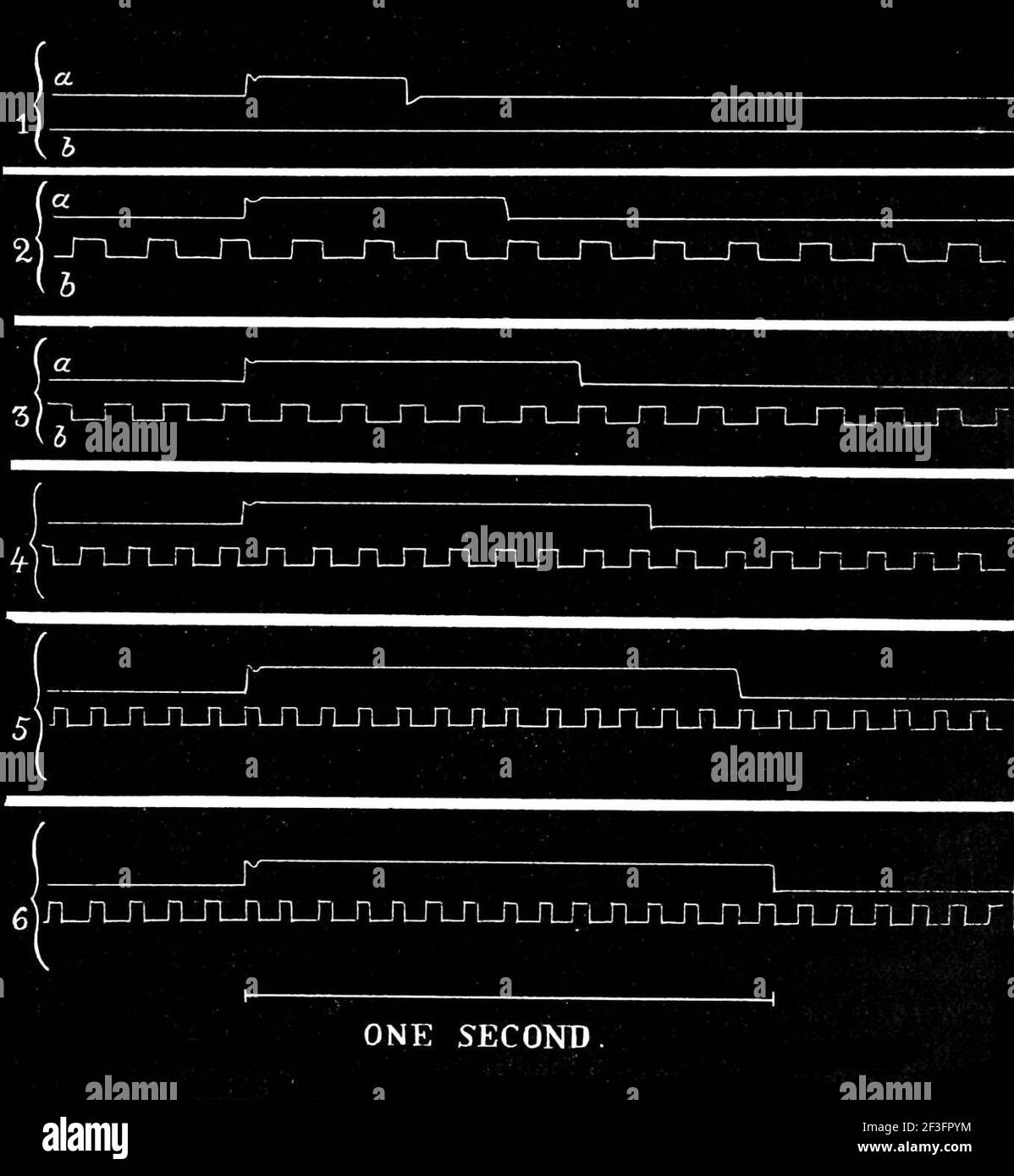 Graph depicting bird wing movements Stock Photo - Alamy