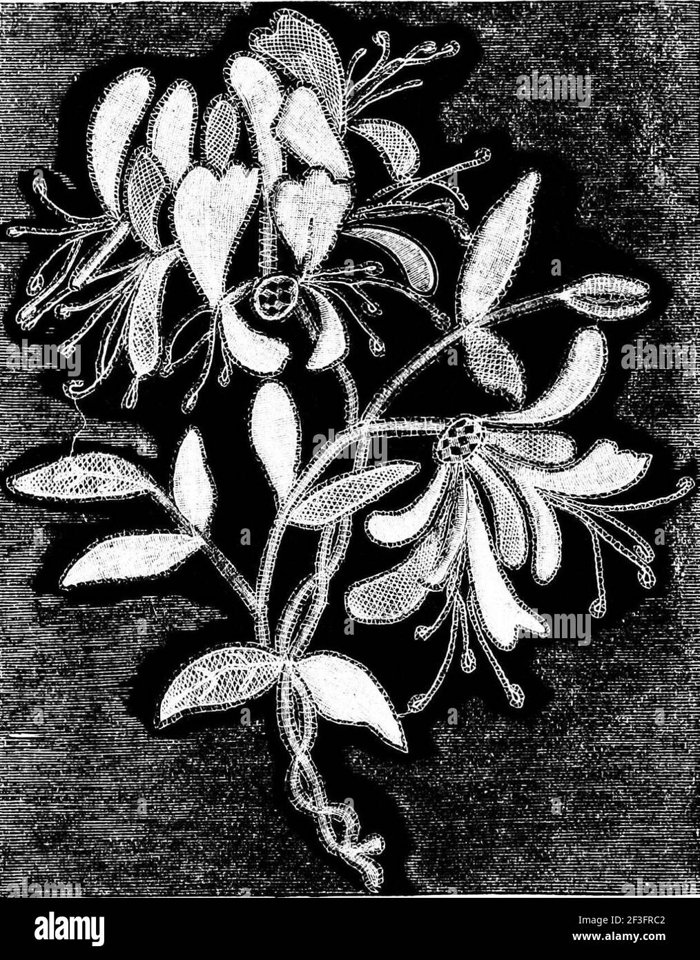 Sprig Black and White Stock Photos & Images - Alamy