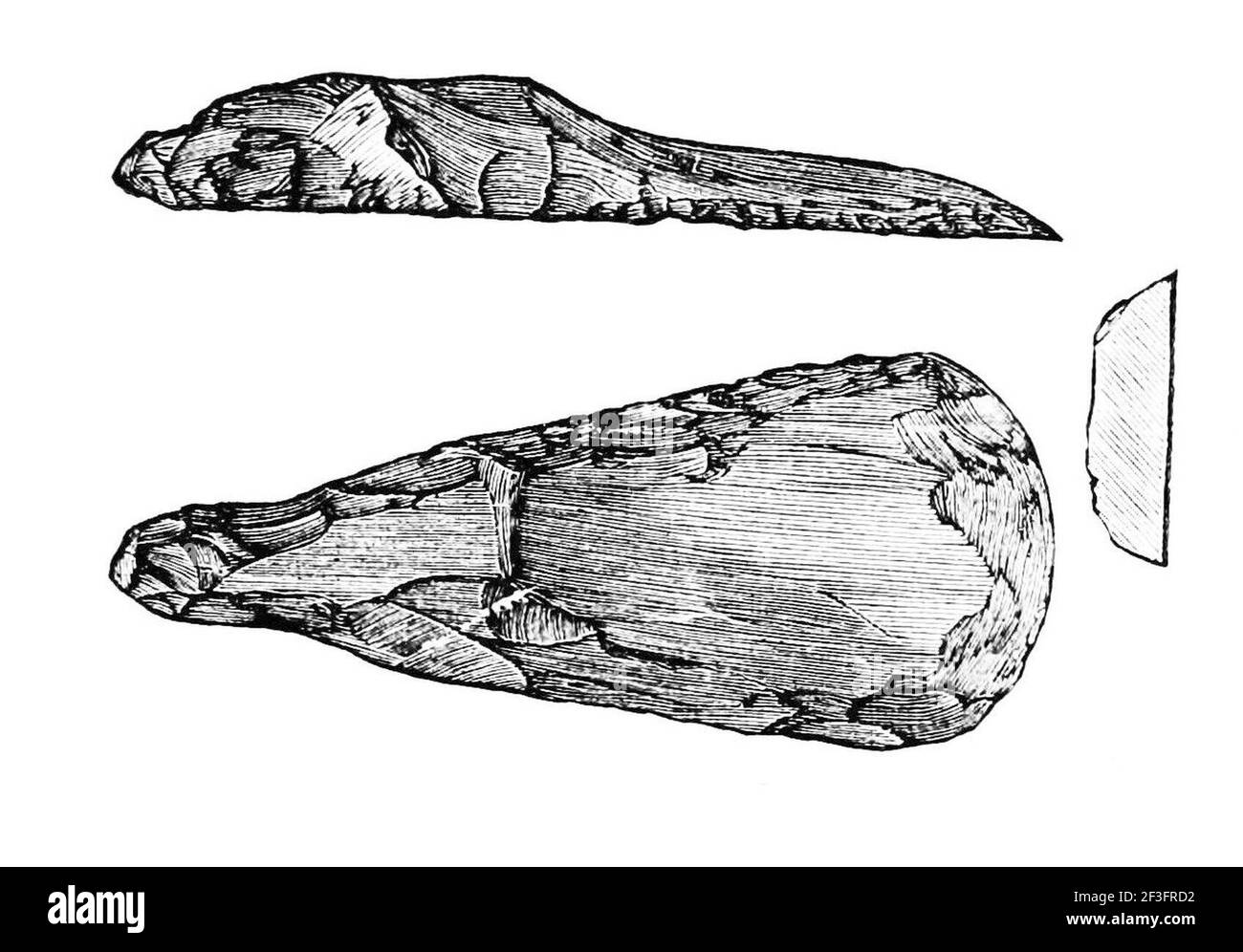 Adze Cut Out Stock Images & Pictures - Alamy