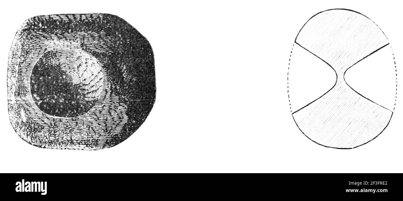 Tapping hammer of stone Stock Photo - Alamy