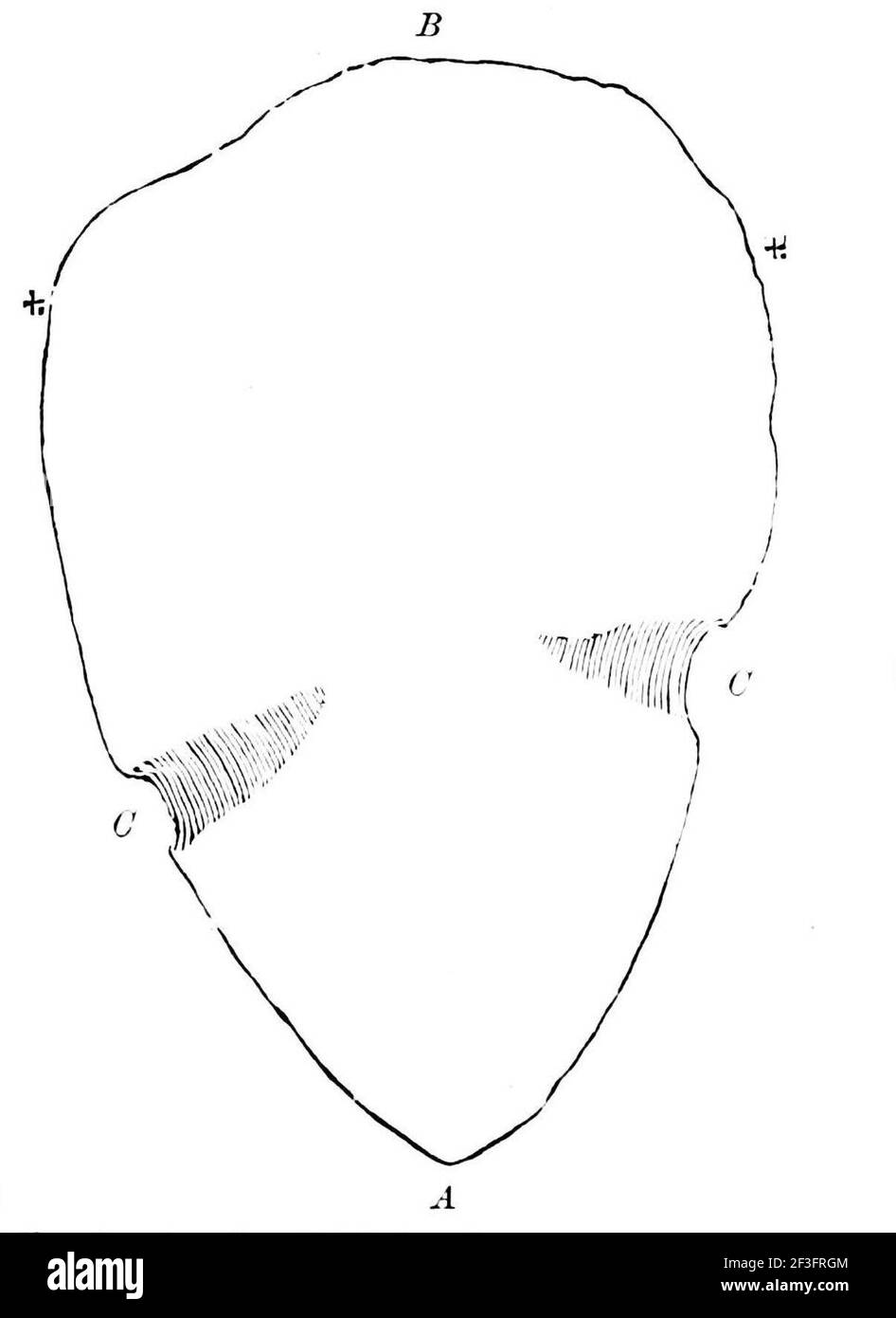 Paleolithic axe blade 2 Stock Photo - Alamy
