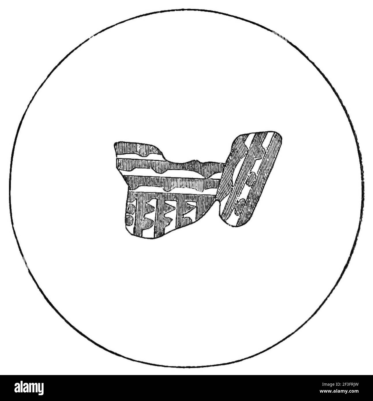 Protozoan fossil from hanover n h Stock Photo - Alamy