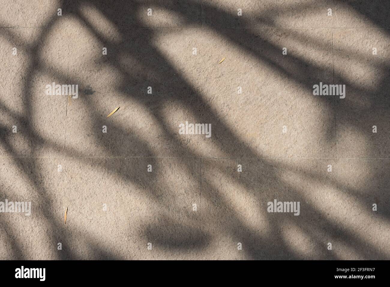 tree shadow on the ground Stock Photo - Alamy