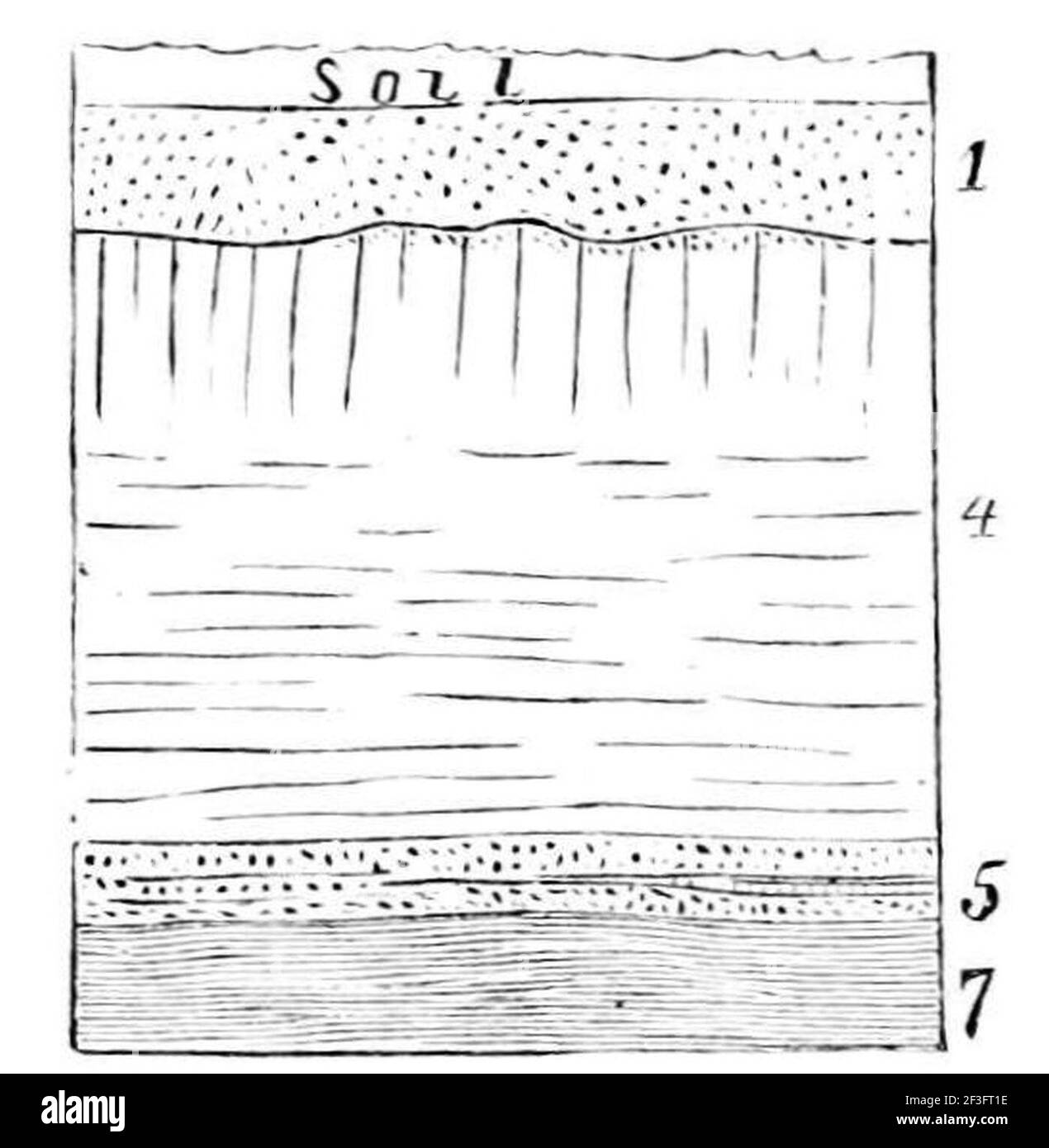 Soil Black And White