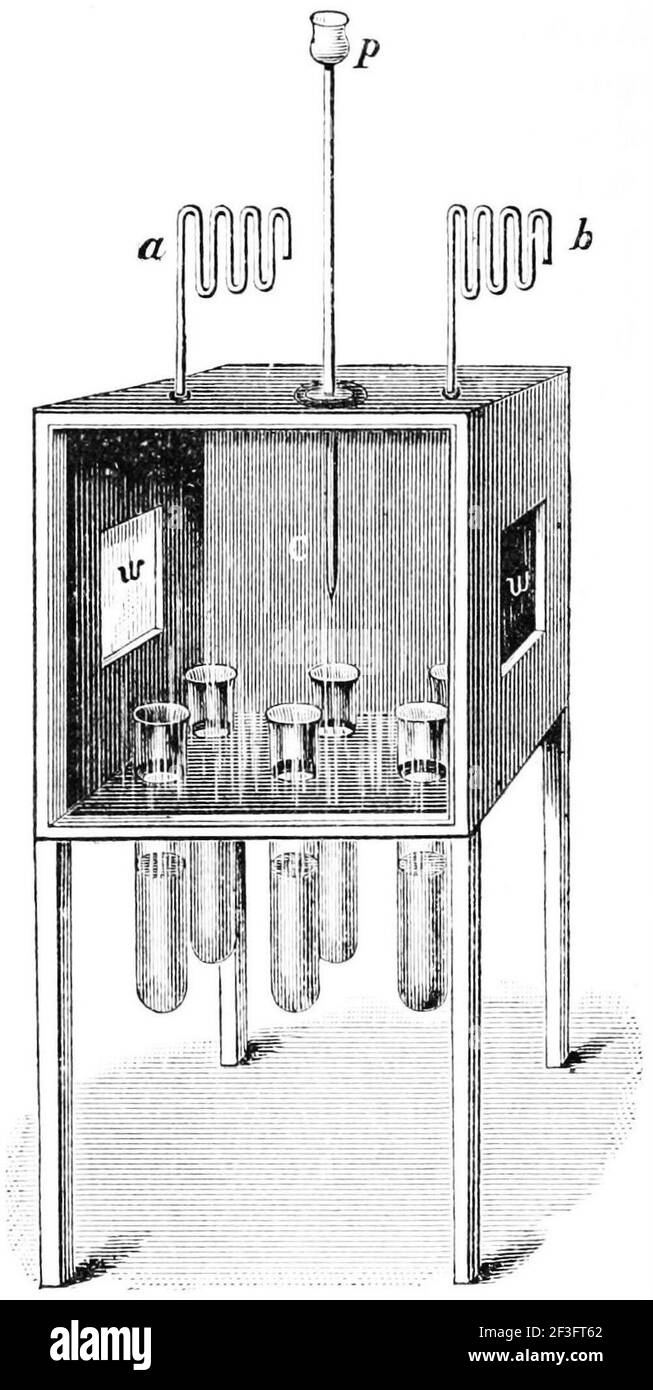 Biological spontaneous generation experiment Stock Photo - Alamy