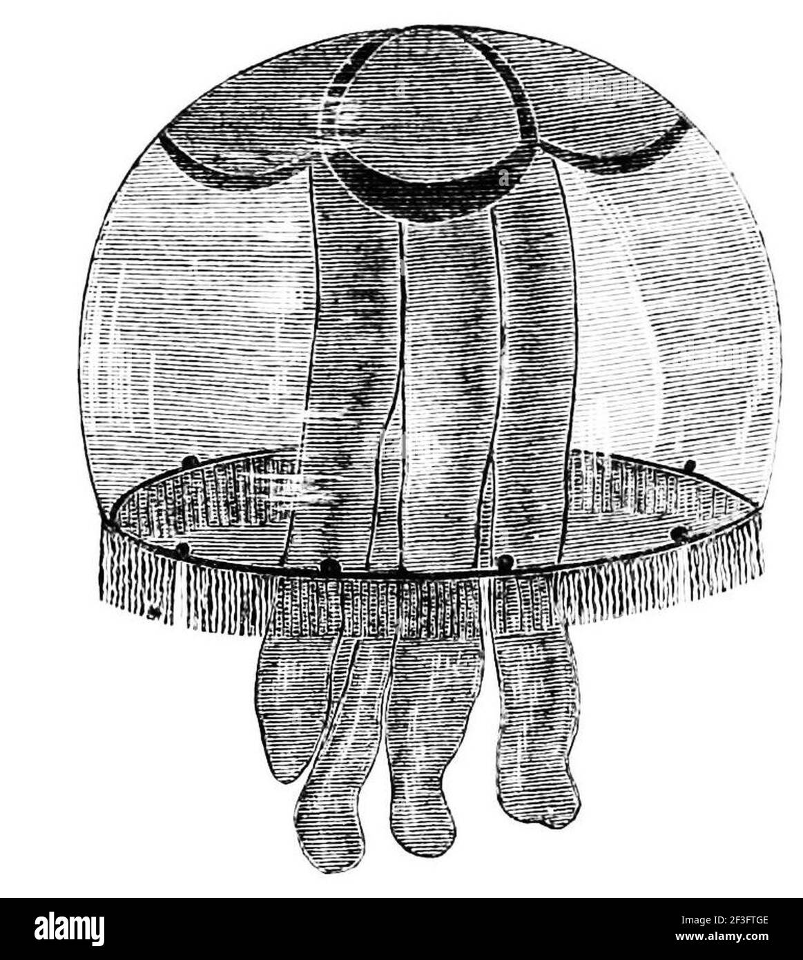 Overlain hi-res stock photography and images - Alamy