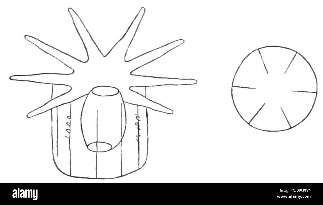 Diagrammatic Cut Out Stock Images & Pictures - Alamy Diagrammatic Cut Out Stock Images & Pictures - Alamy