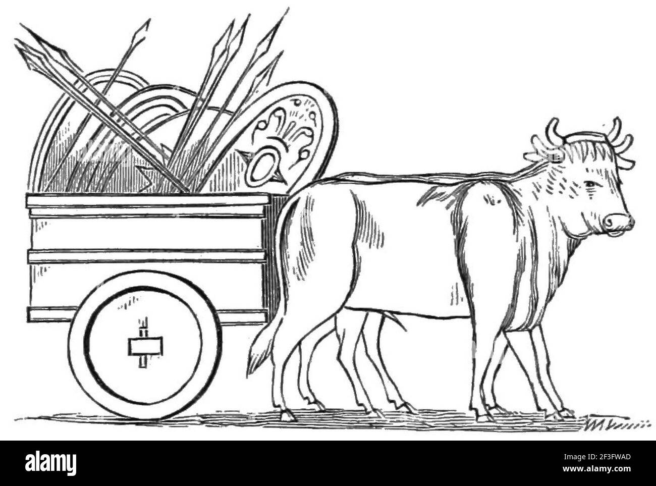 Ancient roman farm kart and oxen Stock Photo - Alamy