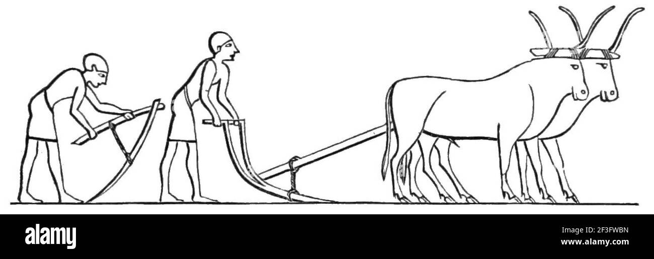 Ancient egyptian hoe and plough Stock Photo - Alamy