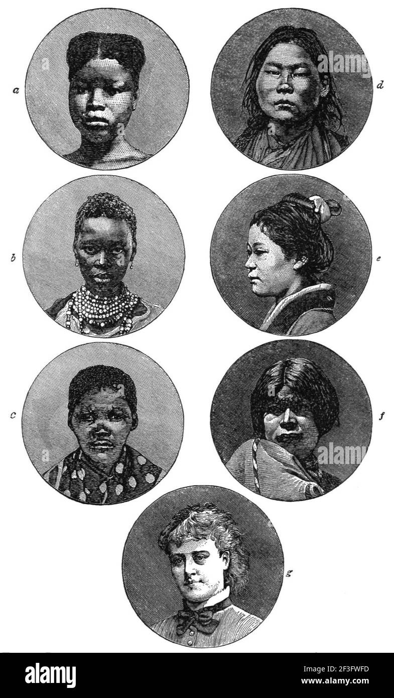 Female portraits of various races Stock Photo - Alamy