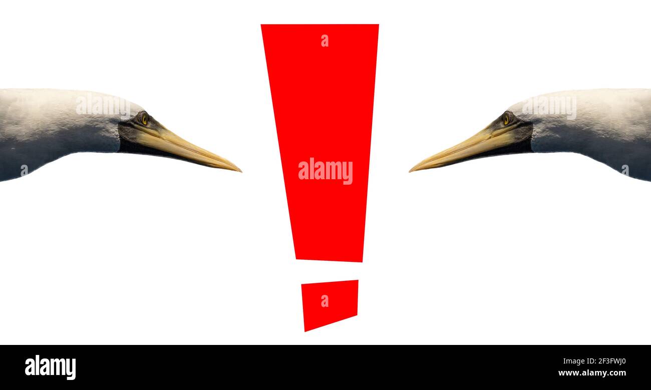 An illustration of a red exclamation mark isolated on white background ...