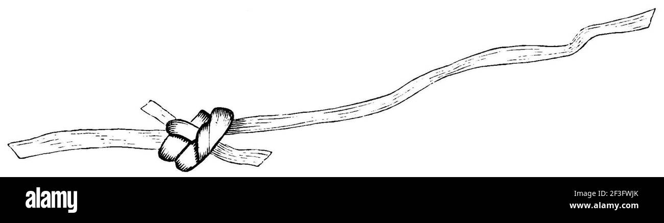 Rawhide string and knot from the isle royale mines Stock Photo - Alamy