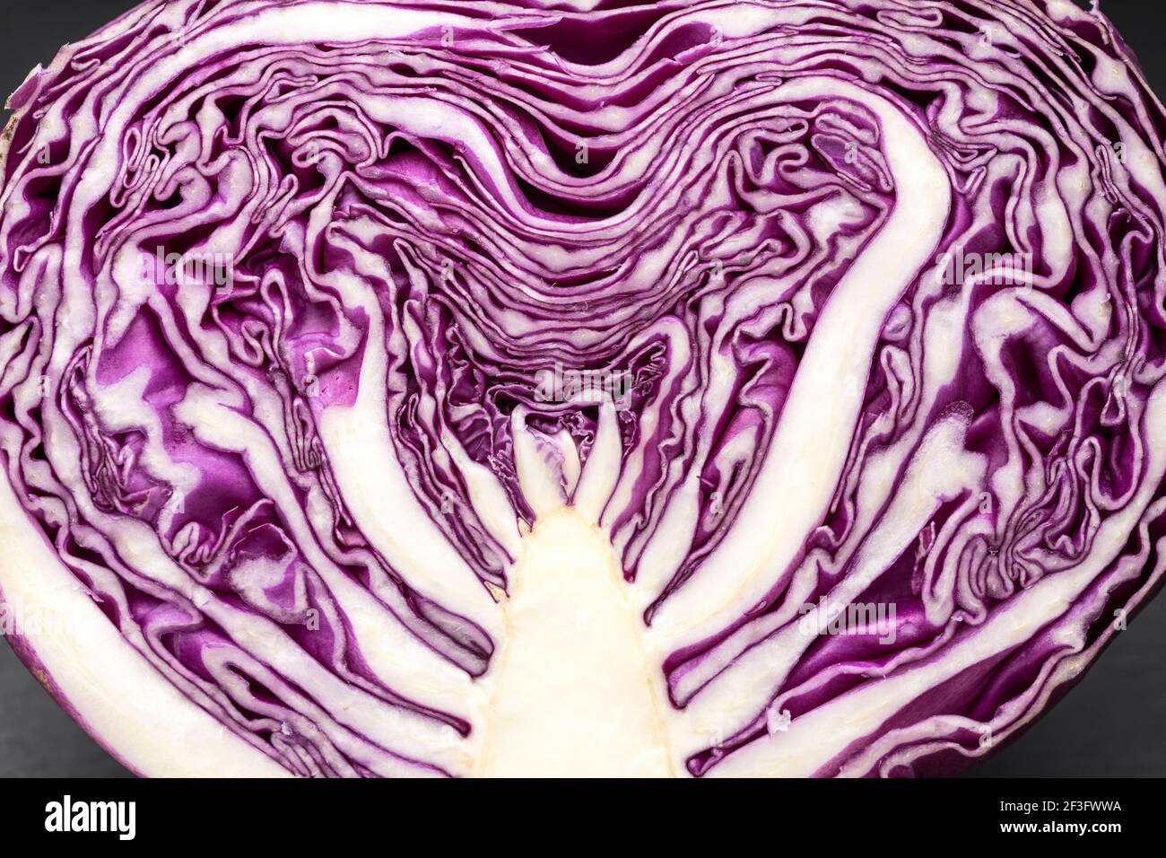An abstract view of the inside of a sliced red cabbage Stock Photo - Alamy
