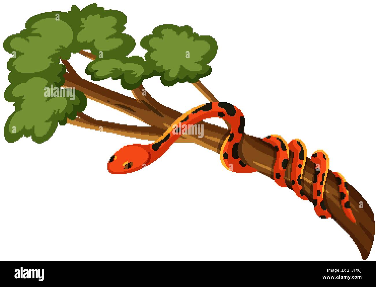 Snake on a branch isolated on white background illustration Stock ...