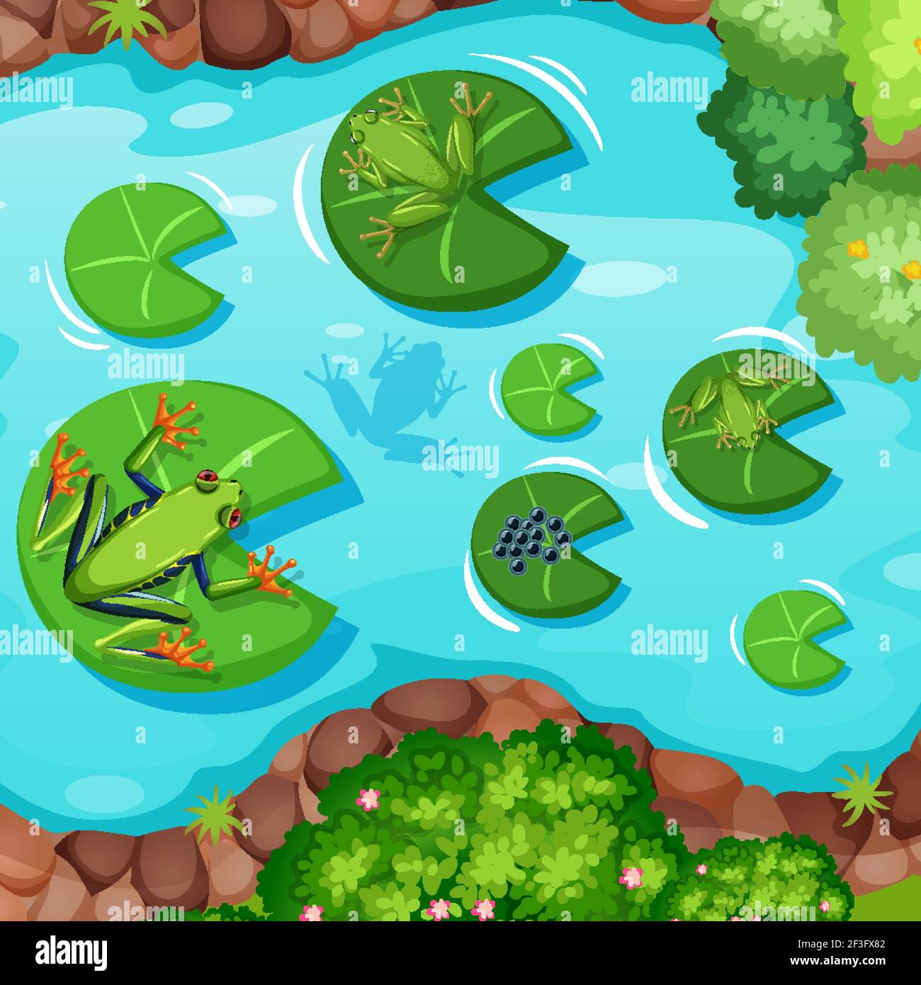 Cartoon Pond Birds Eye View