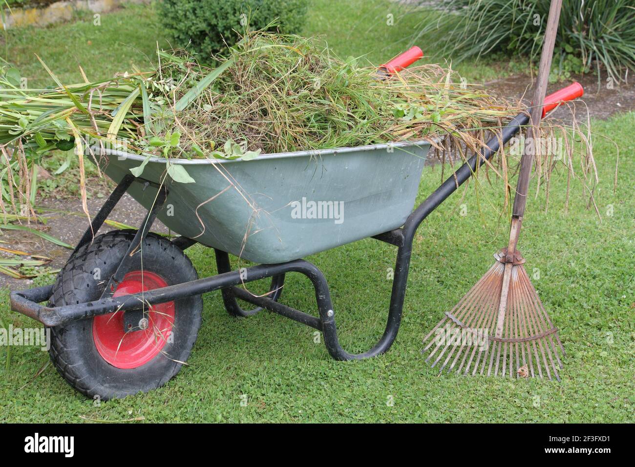 A garden wheelbarrow full of greenery Stock Photo - Alamy