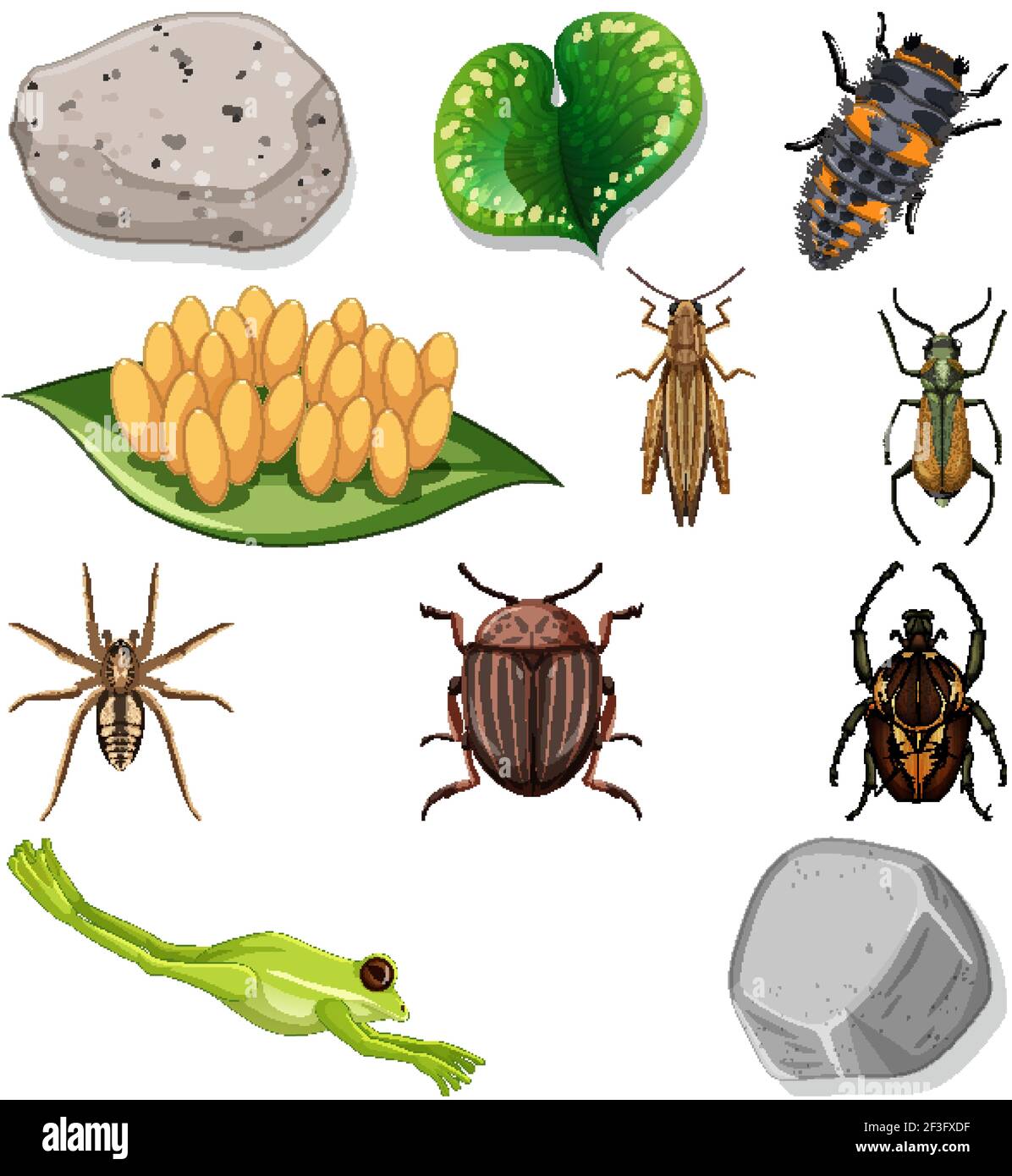 Different types of insect with nature elements illustration Stock ...